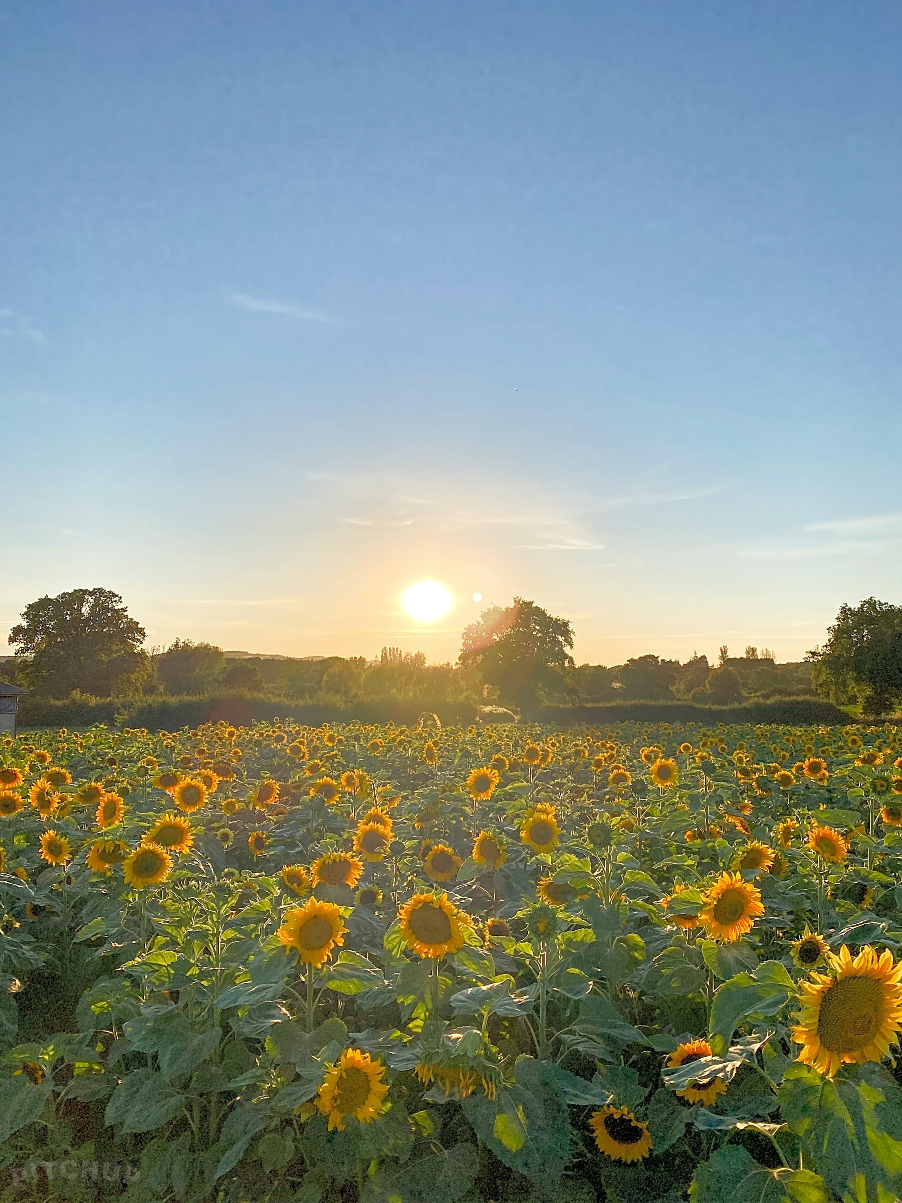 Lower House Farm, Ledbury, Herefordshire | Pitchup.com
