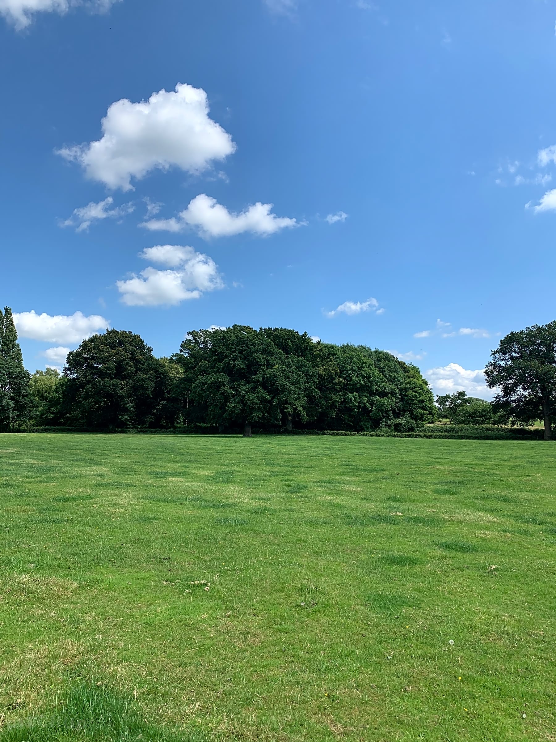 Apperley Court Farm, Apperley, Gloucestershire | Pitchup.com