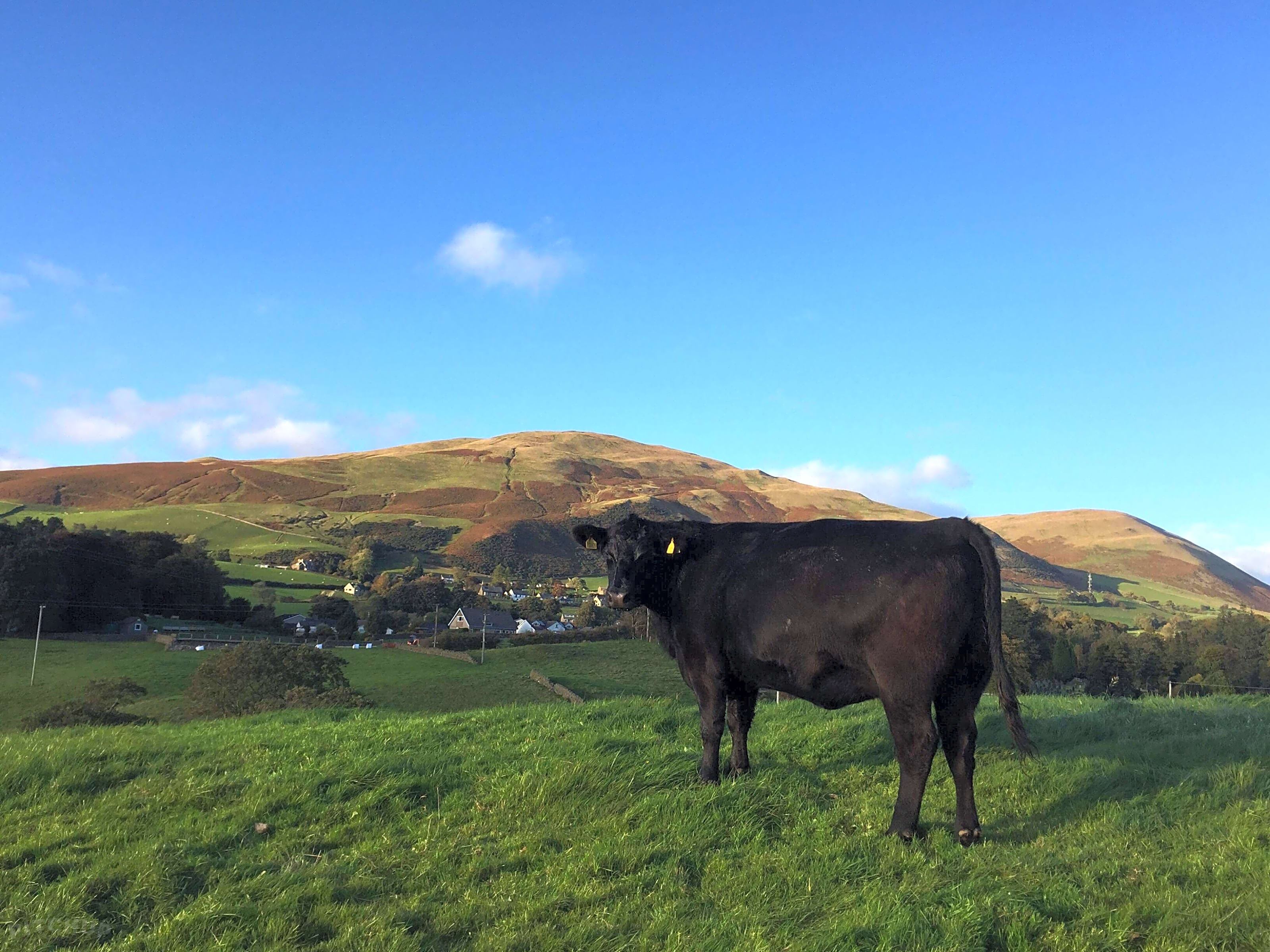 Farm and Fell Campsite, Sedbergh - Updated 2021 prices - Pitchup®