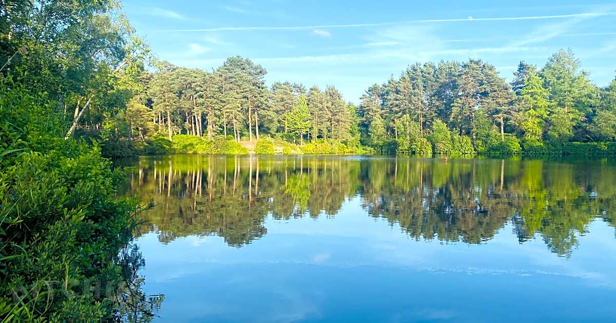 Avon Tyrrell Outdoor Activity Centre and Campsite, Bransgore - Updated ...