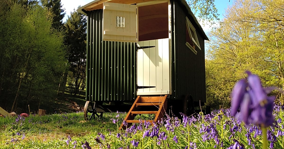 The Green Escape, Dorking - Pitchup®