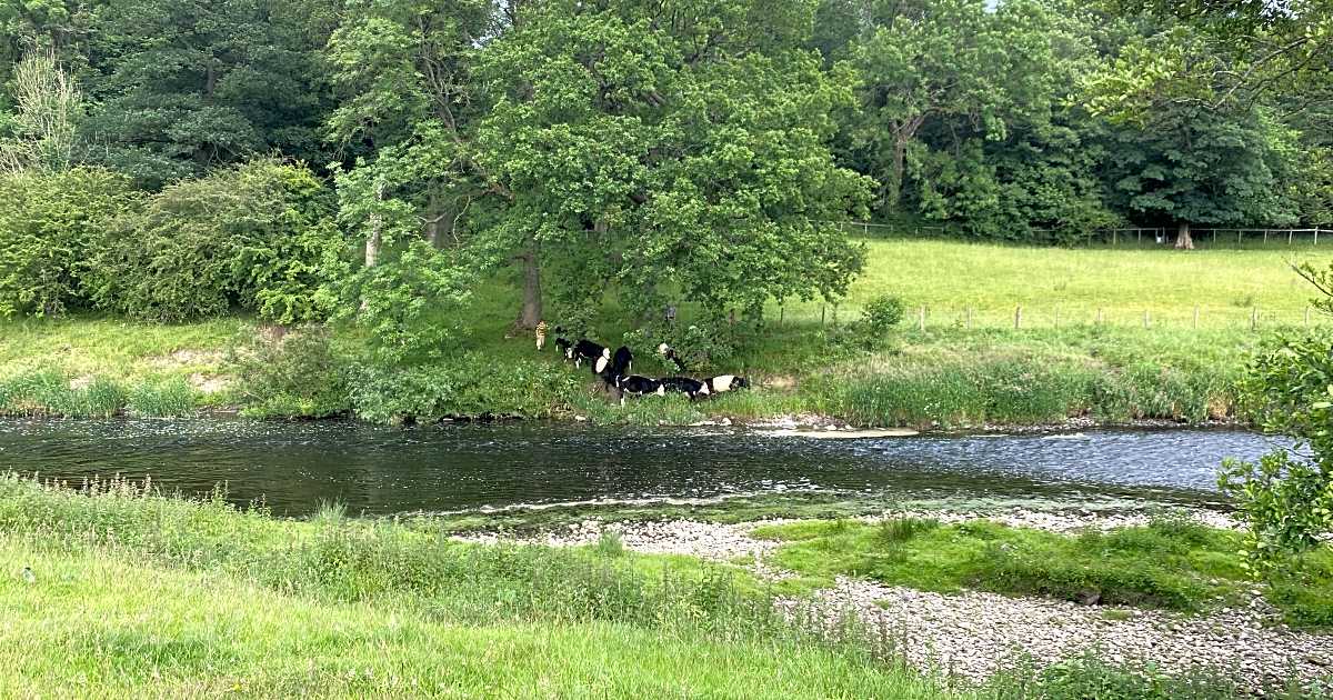 Hacking Hall Farm Camping, Clitheroe | Pitchup.com