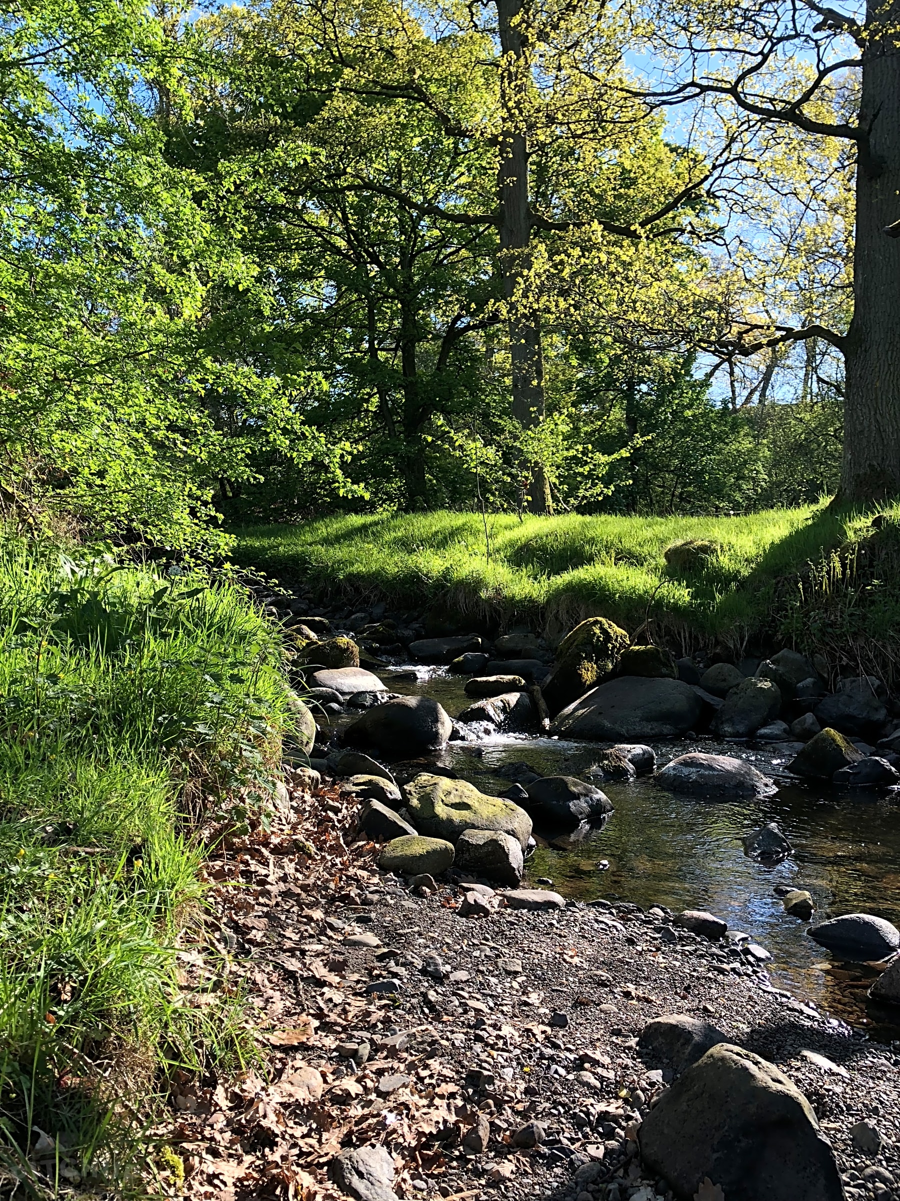 Howbeck Lodge, Hesket Newmarket - Updated 2021 prices - Pitchup®