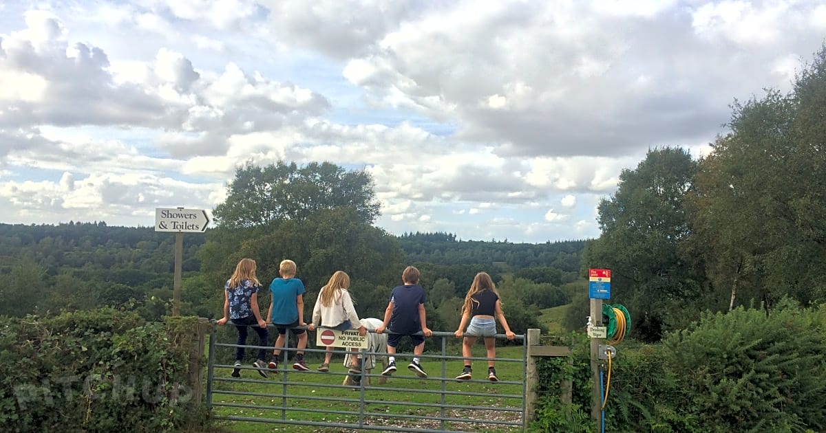 Tom's Field, Fordingbridge - Pitchup®