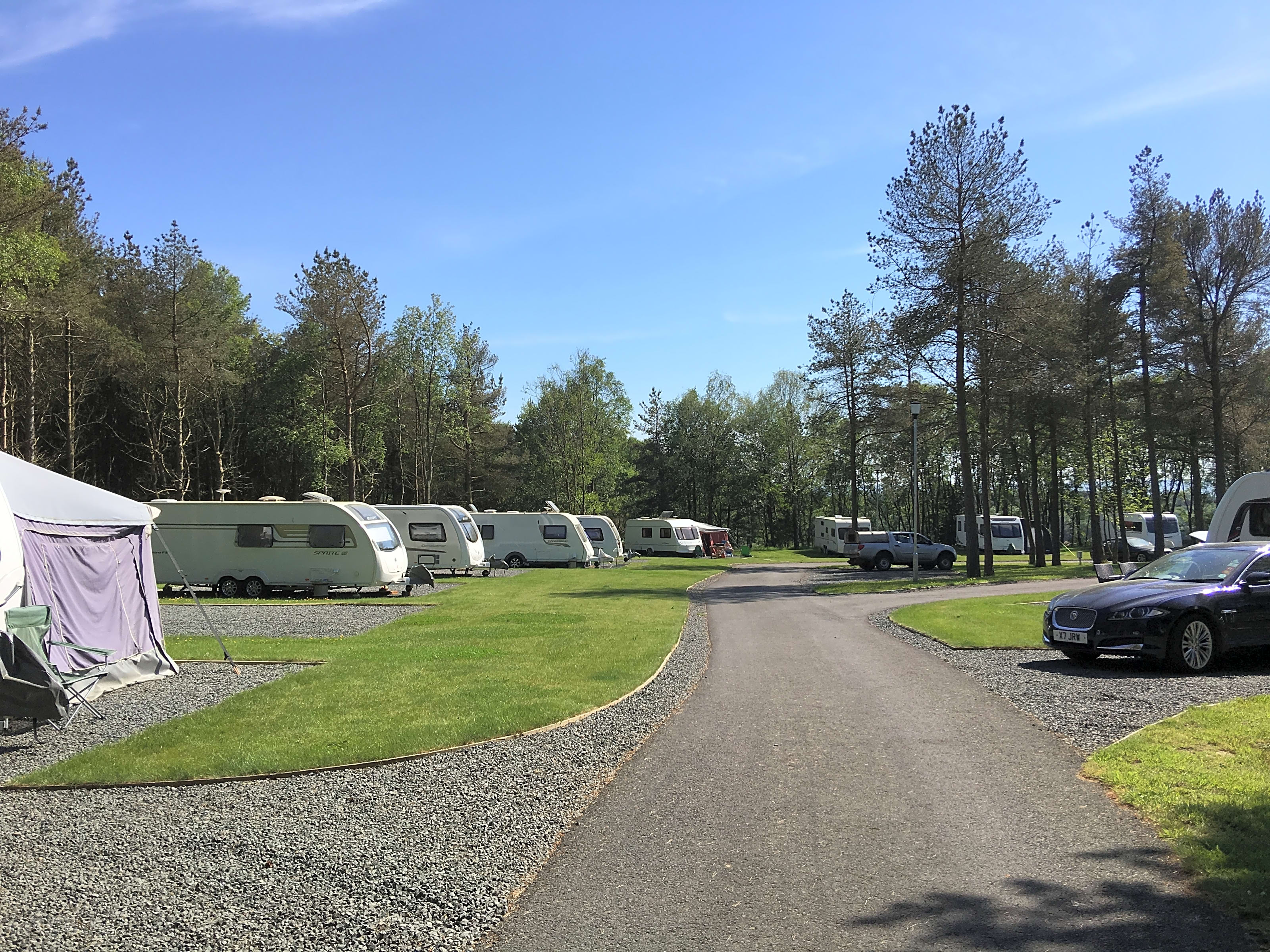 Ladycross Plantation Caravan Park, Whitby - Updated 2020 prices - Pitchup®