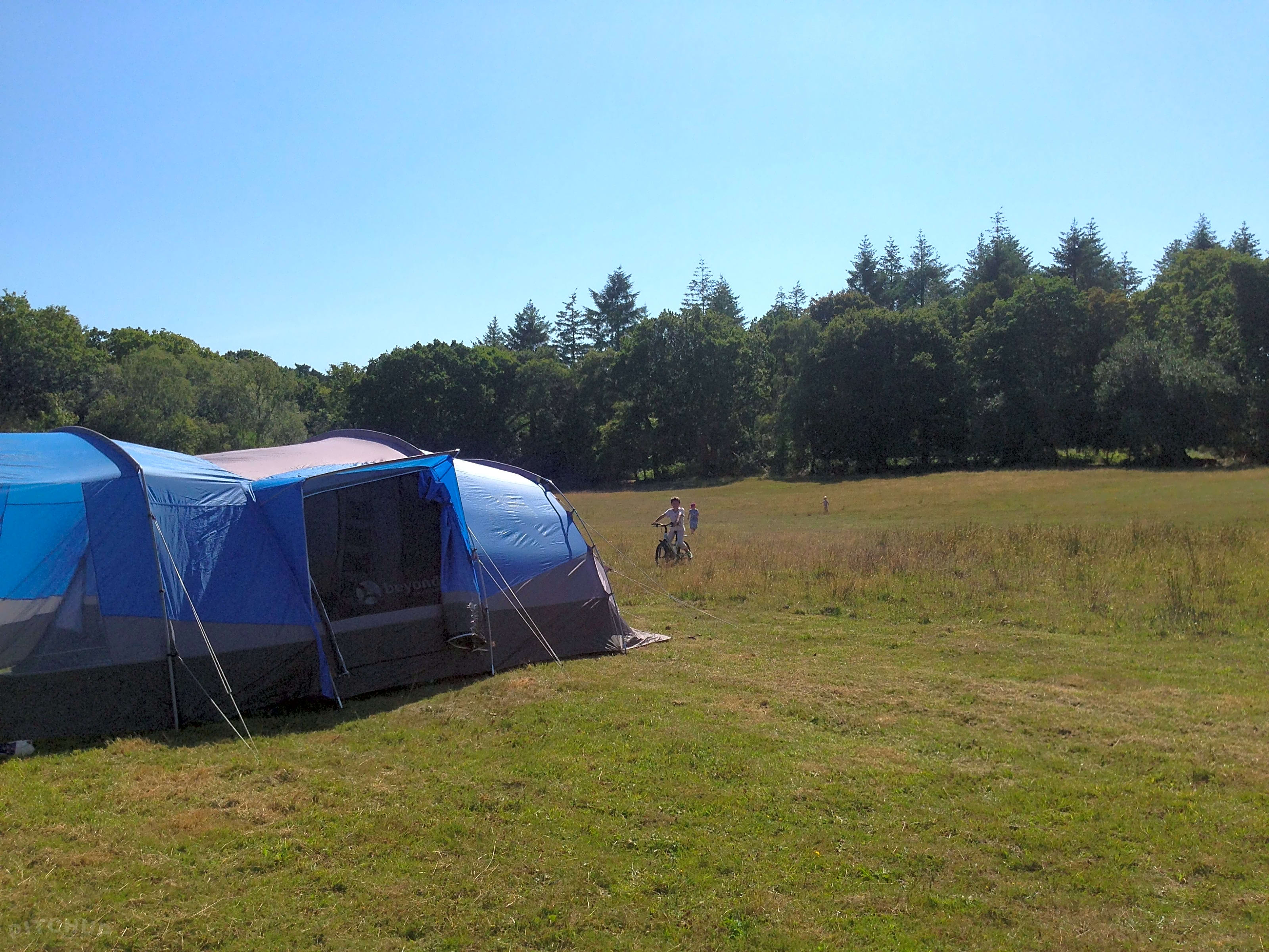 Primrose Fields, Wareham - Pitchup®