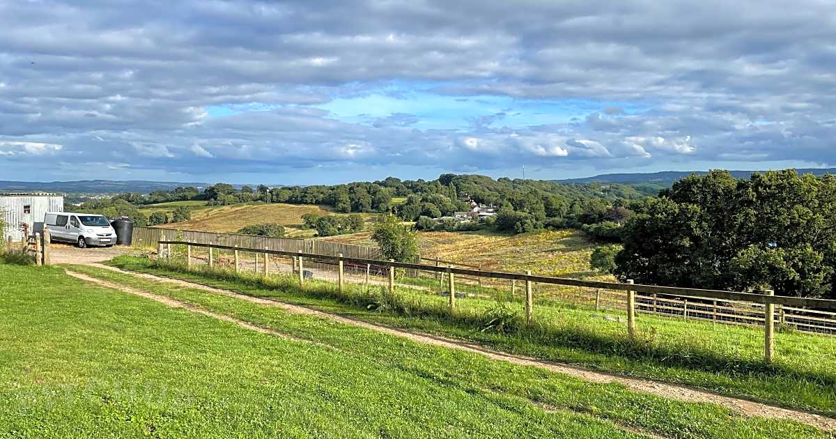 Exeter View Stables, Exeter | Pitchup.com