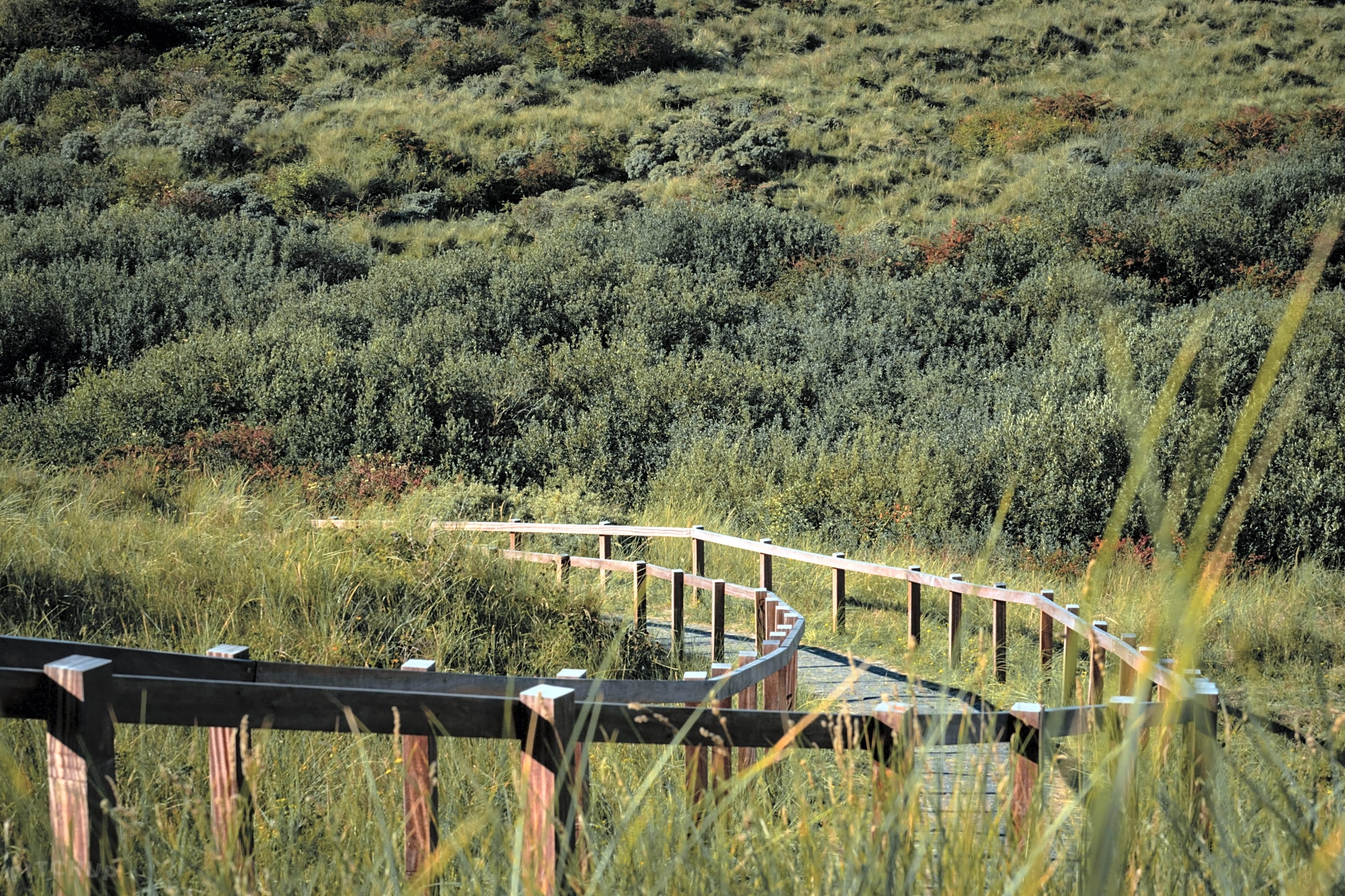 What are accessibility, accessible tourism and the 'Purple 'Pound ...