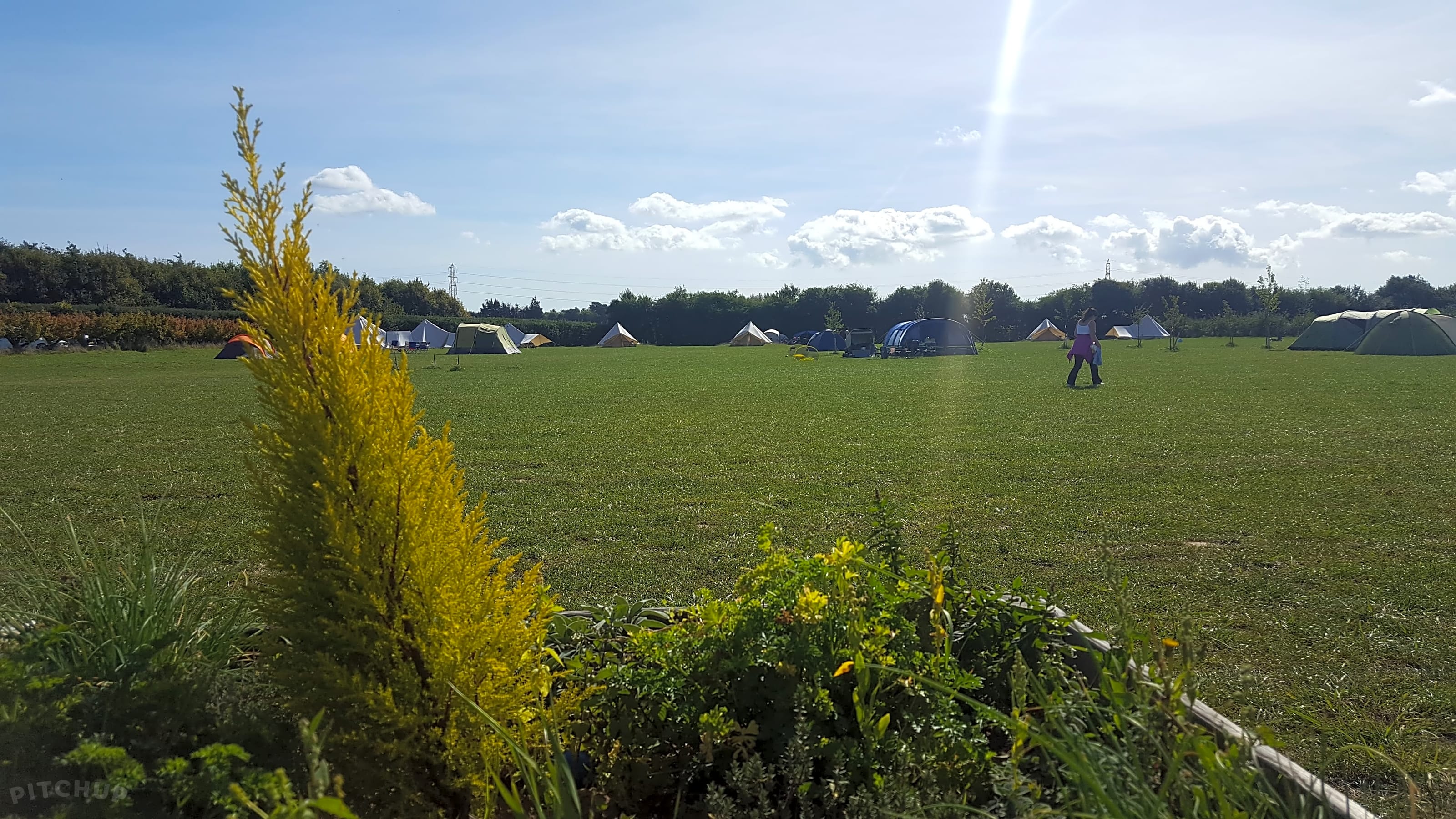 Fallow Fields Camping, Sandwich - Pitchup®