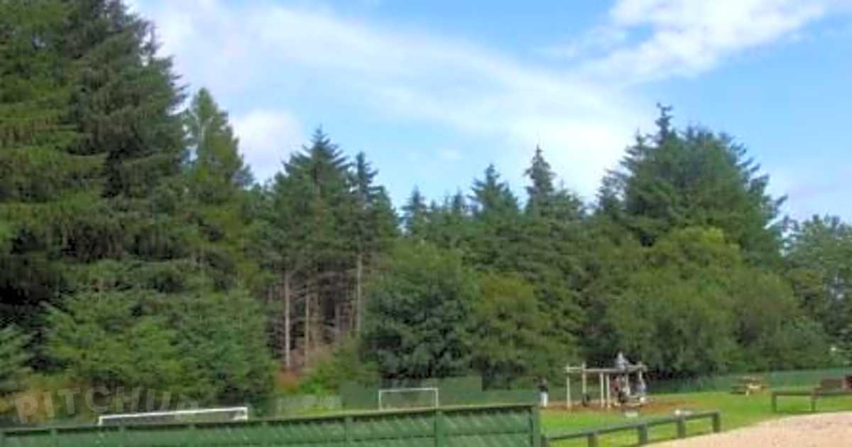 Springhouse Country Park, Hexham | Pitchup.com