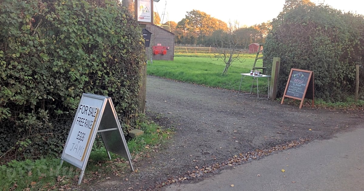 Pear Tree Farm, Henfield - Updated 2021 prices - Pitchup®