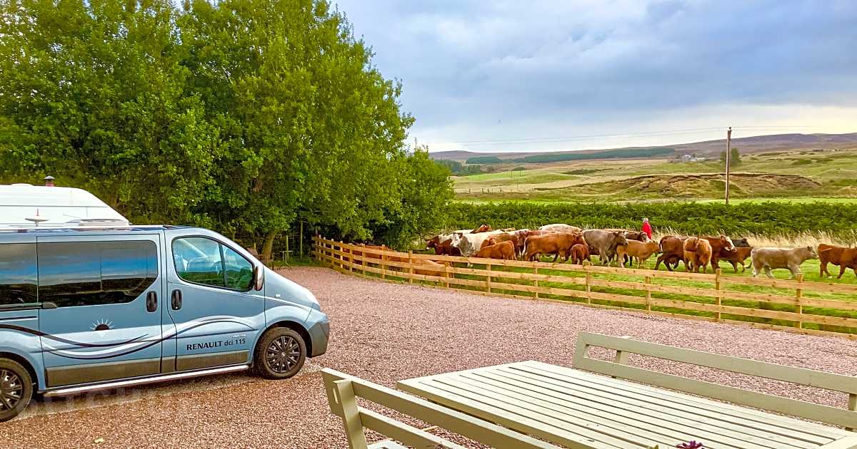 Kirkton Holidays, Melvich - Updated 2024 prices | Pitchup.com