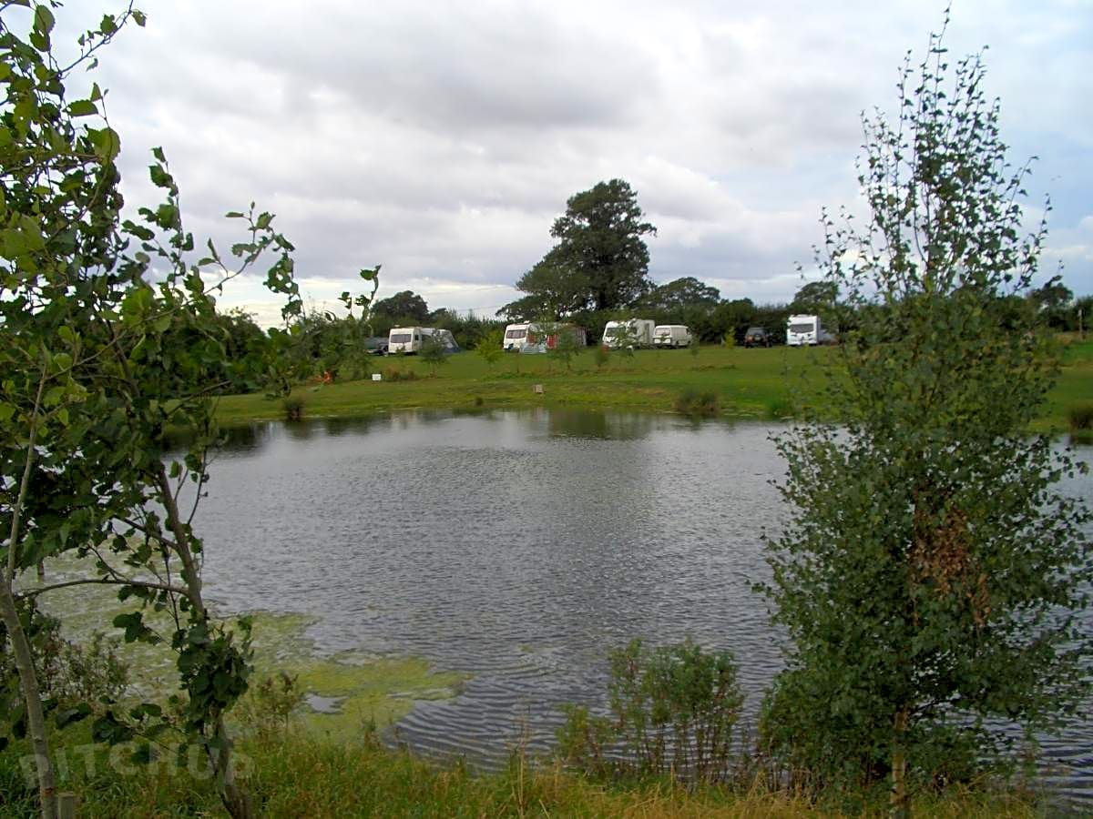 Thornton Lodge Farm, Easingwold - Pitchup®