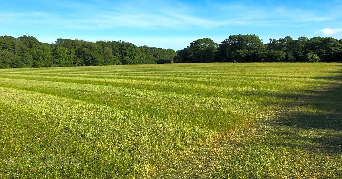 Hale Farm Campsite, Chiddingly - Updated 2024 prices | Pitchup.com