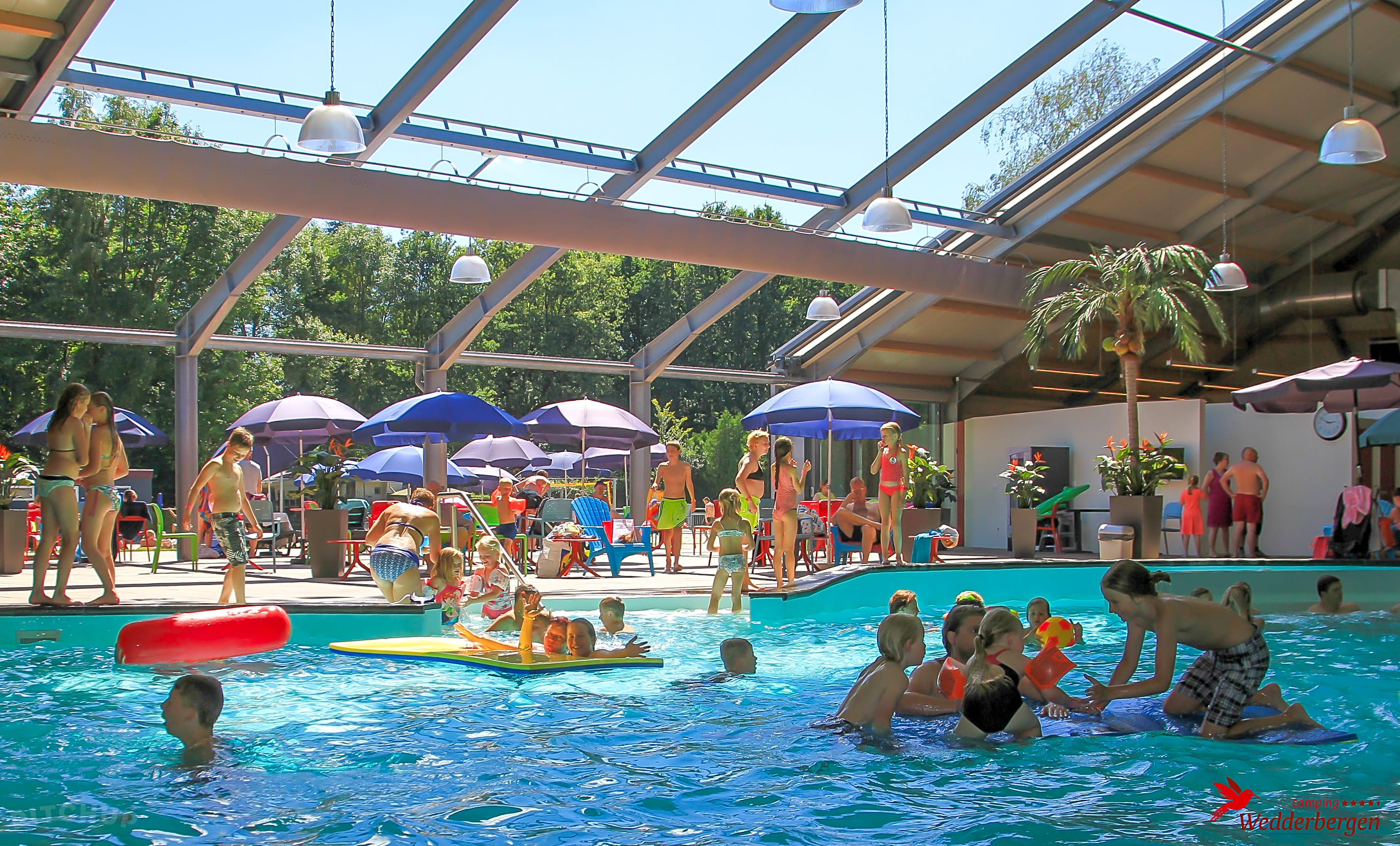 Camping Wedderbergen, Wedde - Updated 2021 prices - Pitchup®