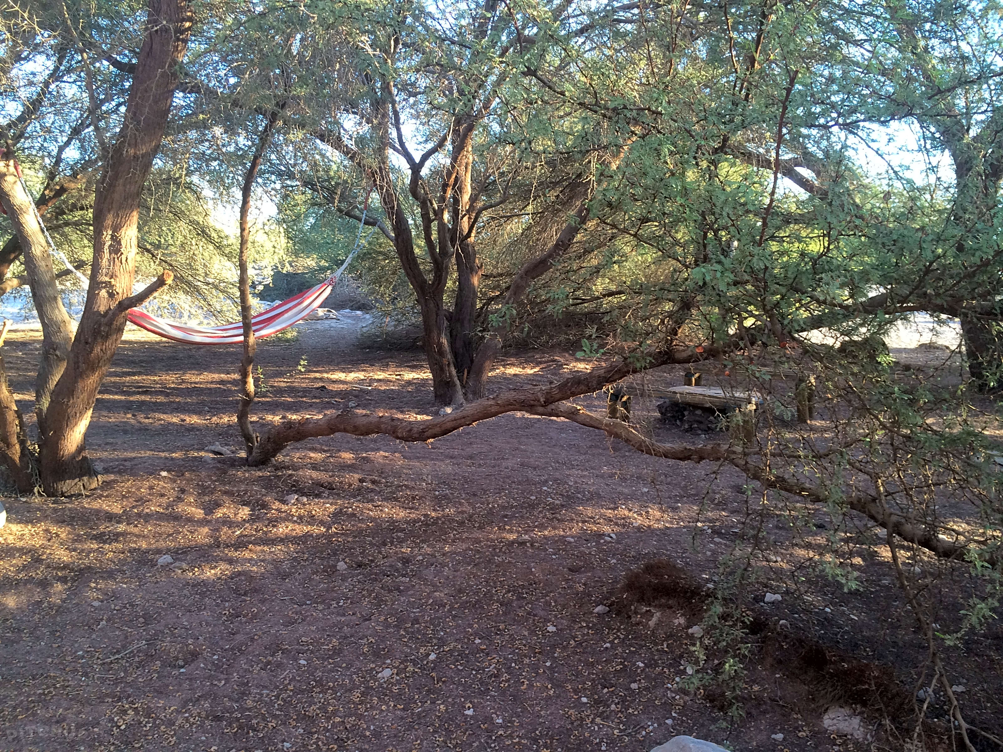 El Huarango, La Tirana - Pitchup®