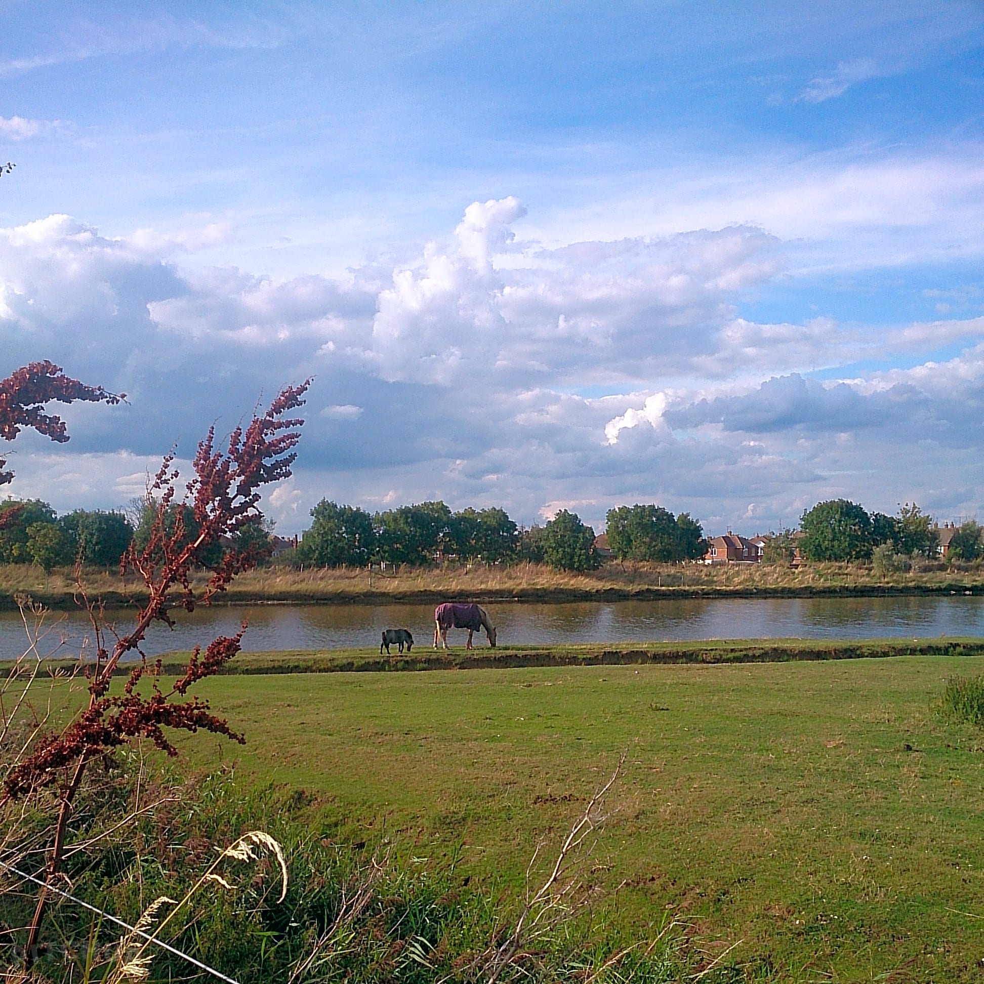 Sheerness Holiday Park, Sheerness - Pitchup®