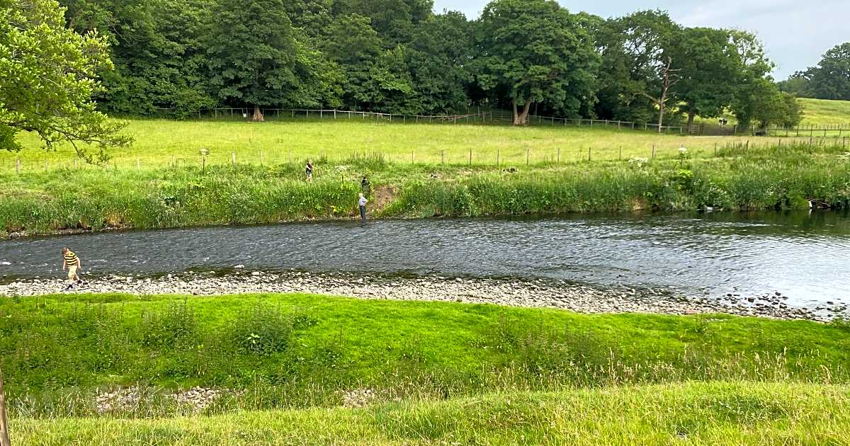 Hacking Hall Farm Camping, Clitheroe | Pitchup.com