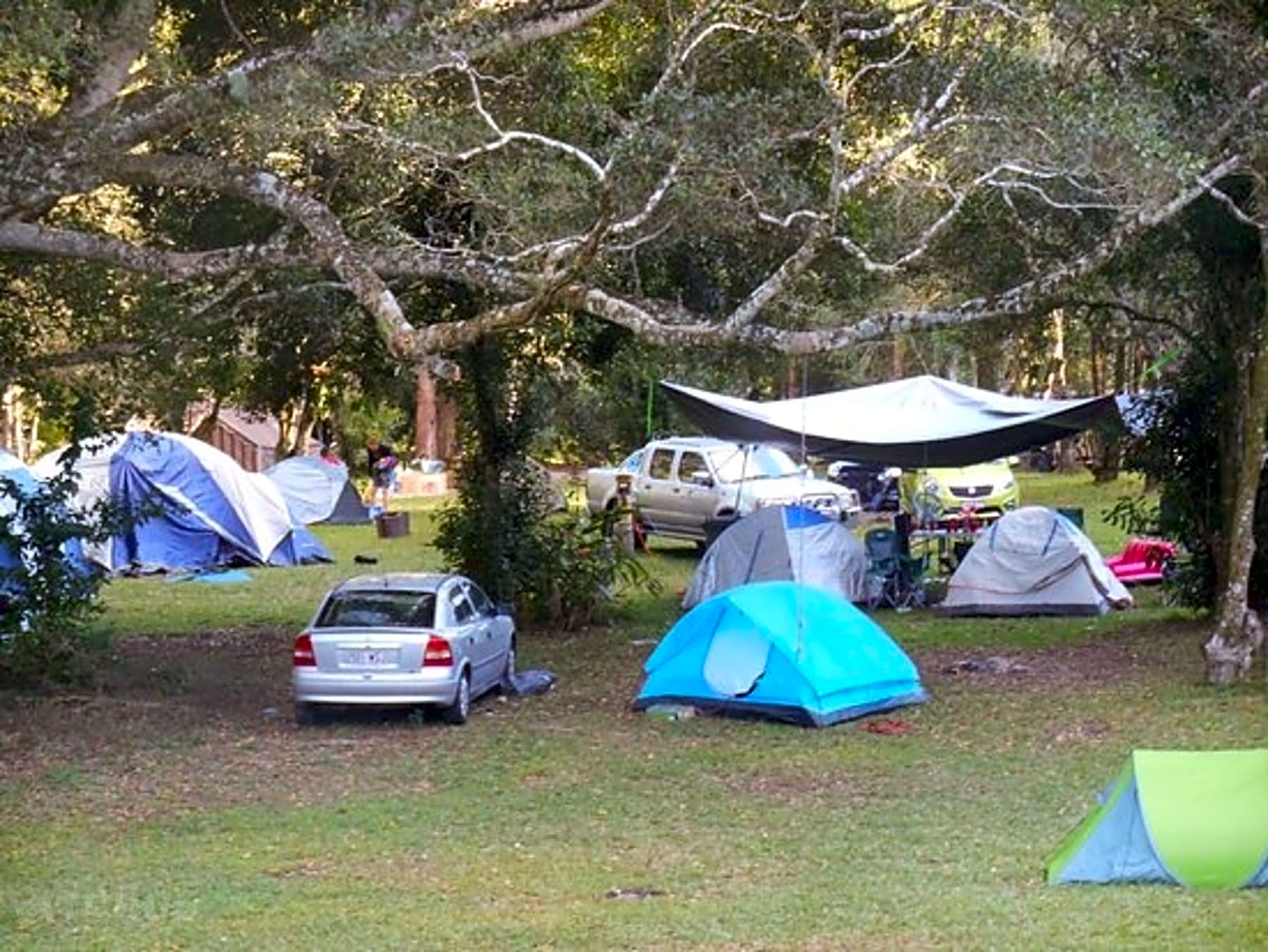 Maca's Camping Ground, Mullumbimby - Pitchup®