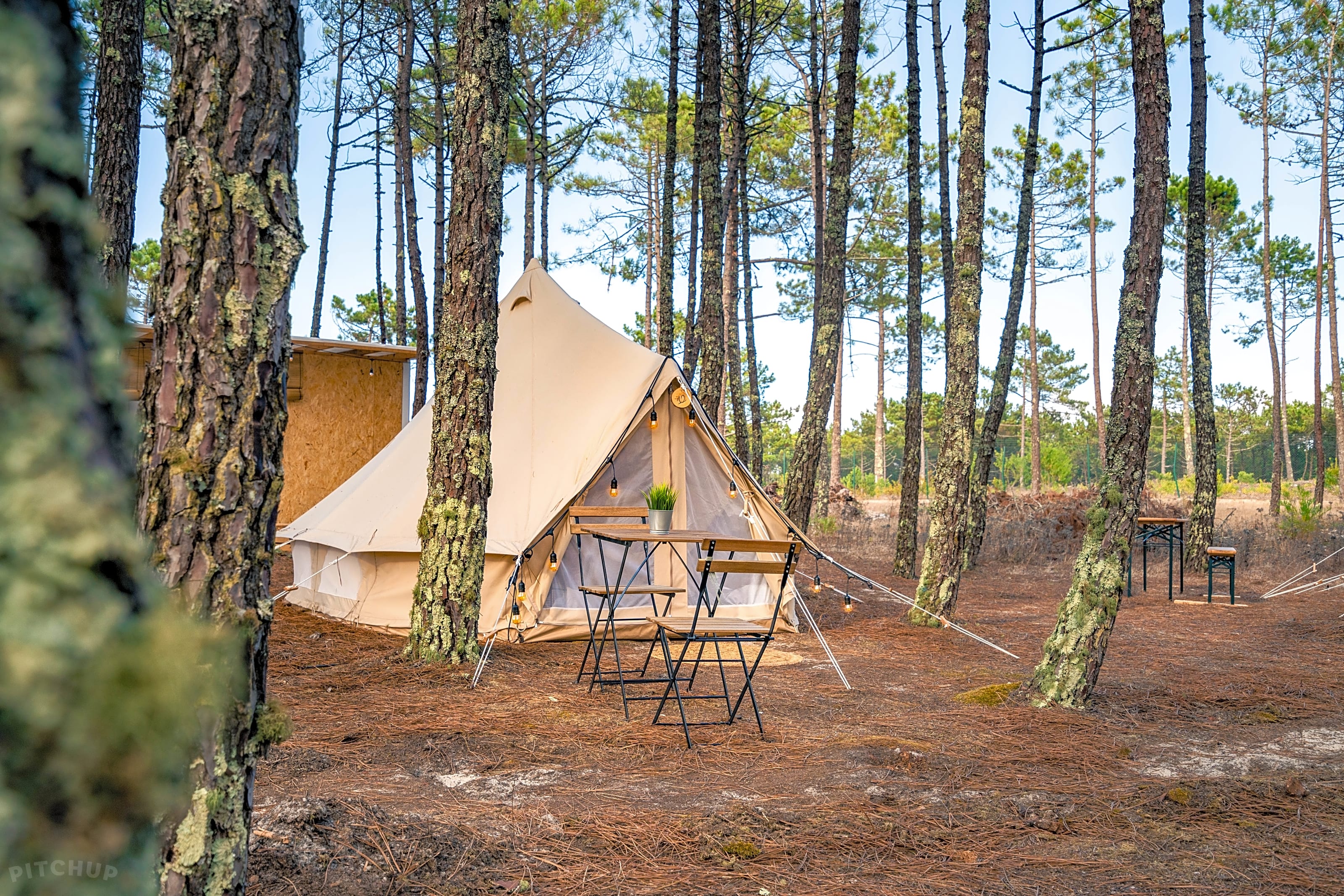 Kampaoh Vagueira, Gafanha da Boa Hora, Vagos | Pitchup.com