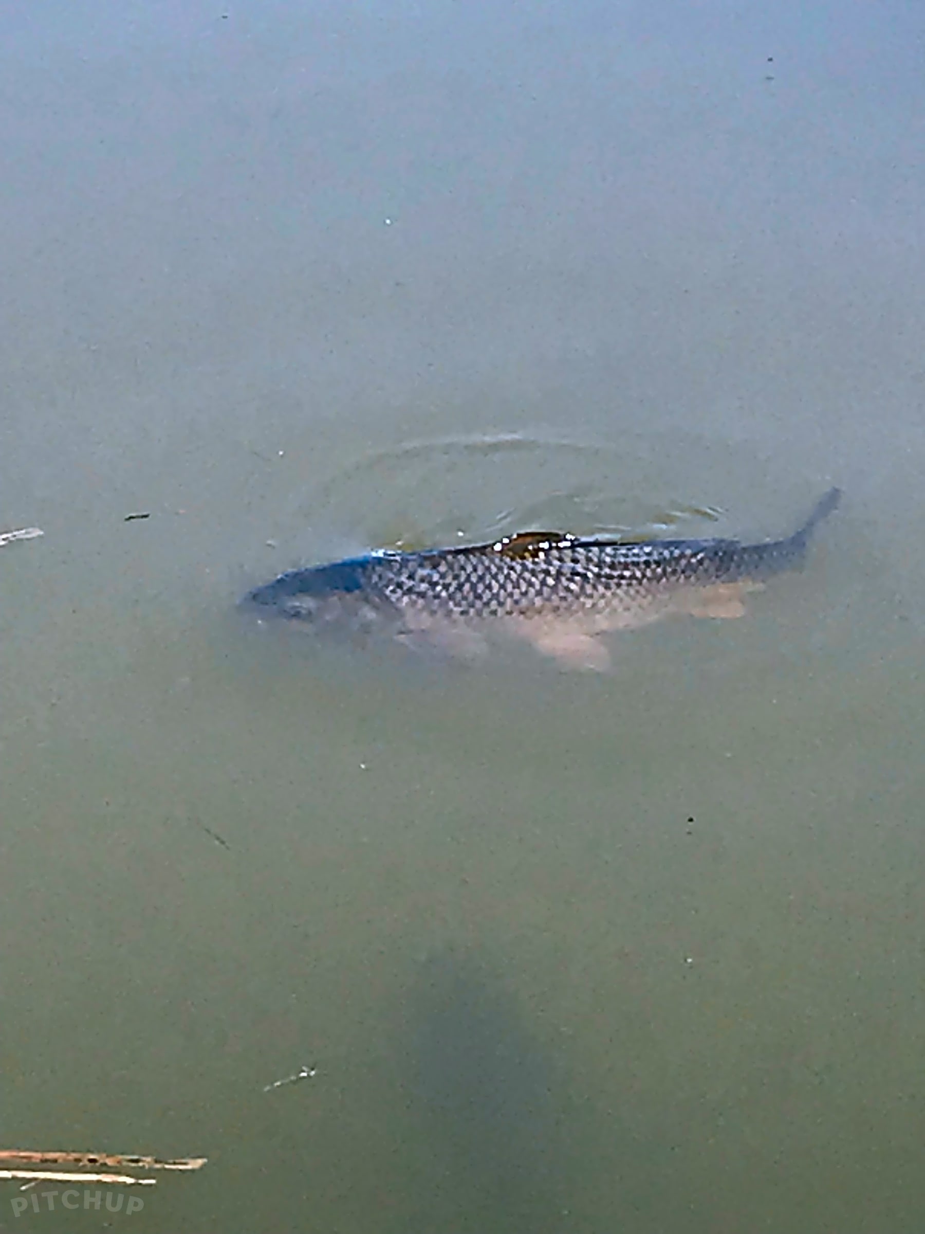 Condover Park Touring Caravan Site, Shrewsbury, Shropshire - Updated ...