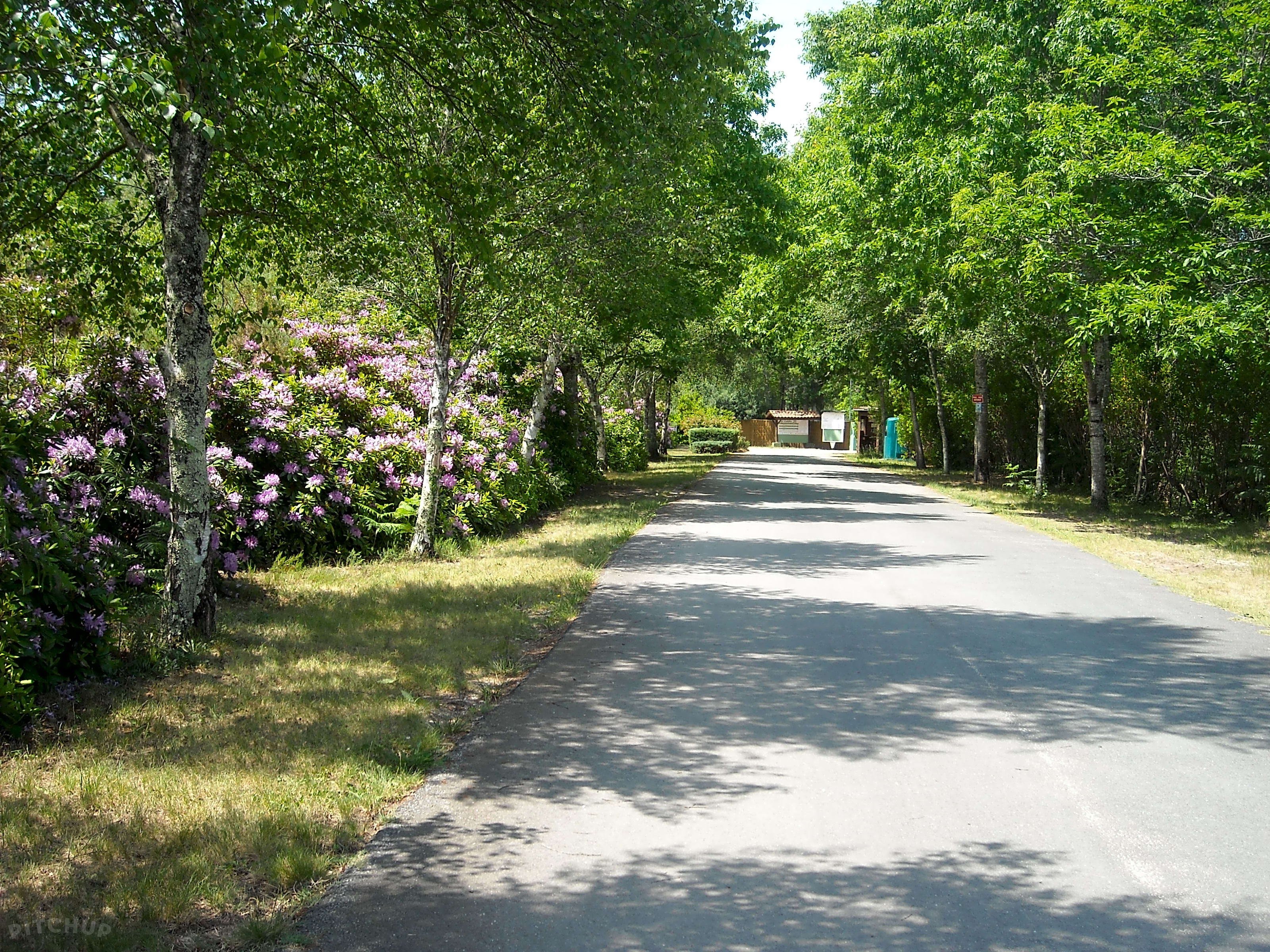 Camping Liberté Lacanau, Lacanau, Gironde - Updated 2024 prices ...