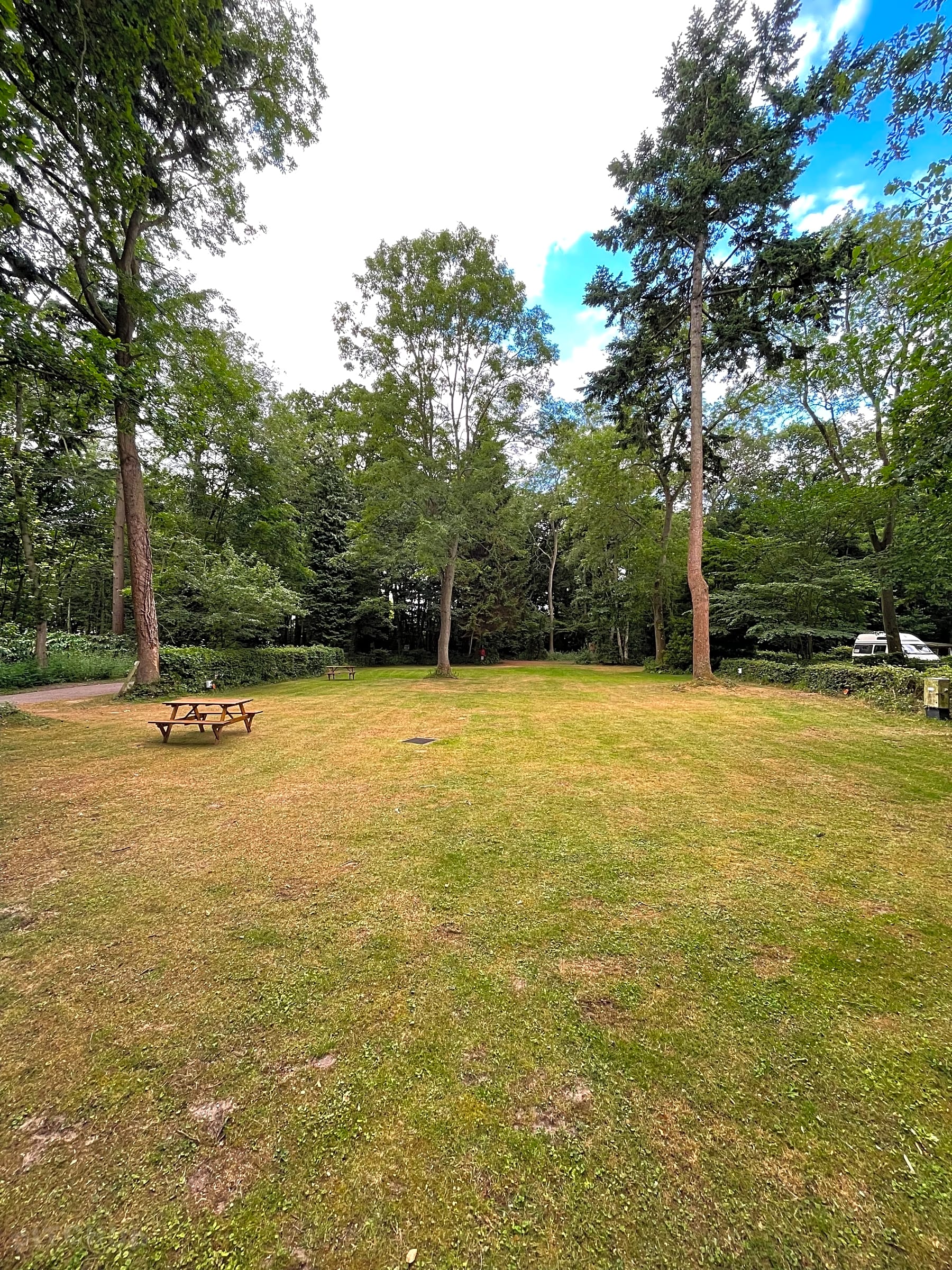 Broadland Sun Association Naturist Campsite, Norwich, Norfolk | Pitchup.com