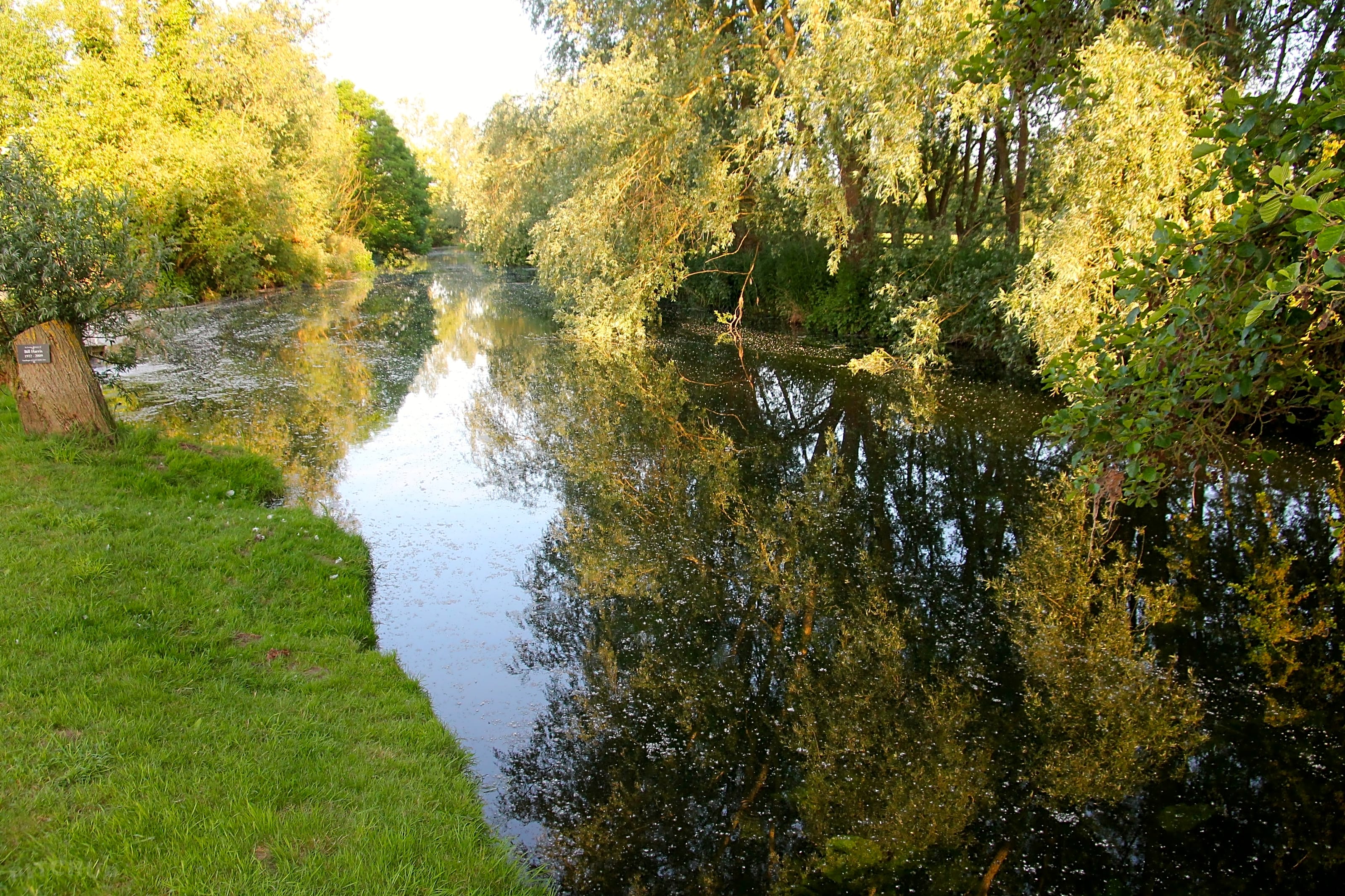 Rushbanks Farm Caravan and Camping Site, Sudbury, Suffolk - Updated ...