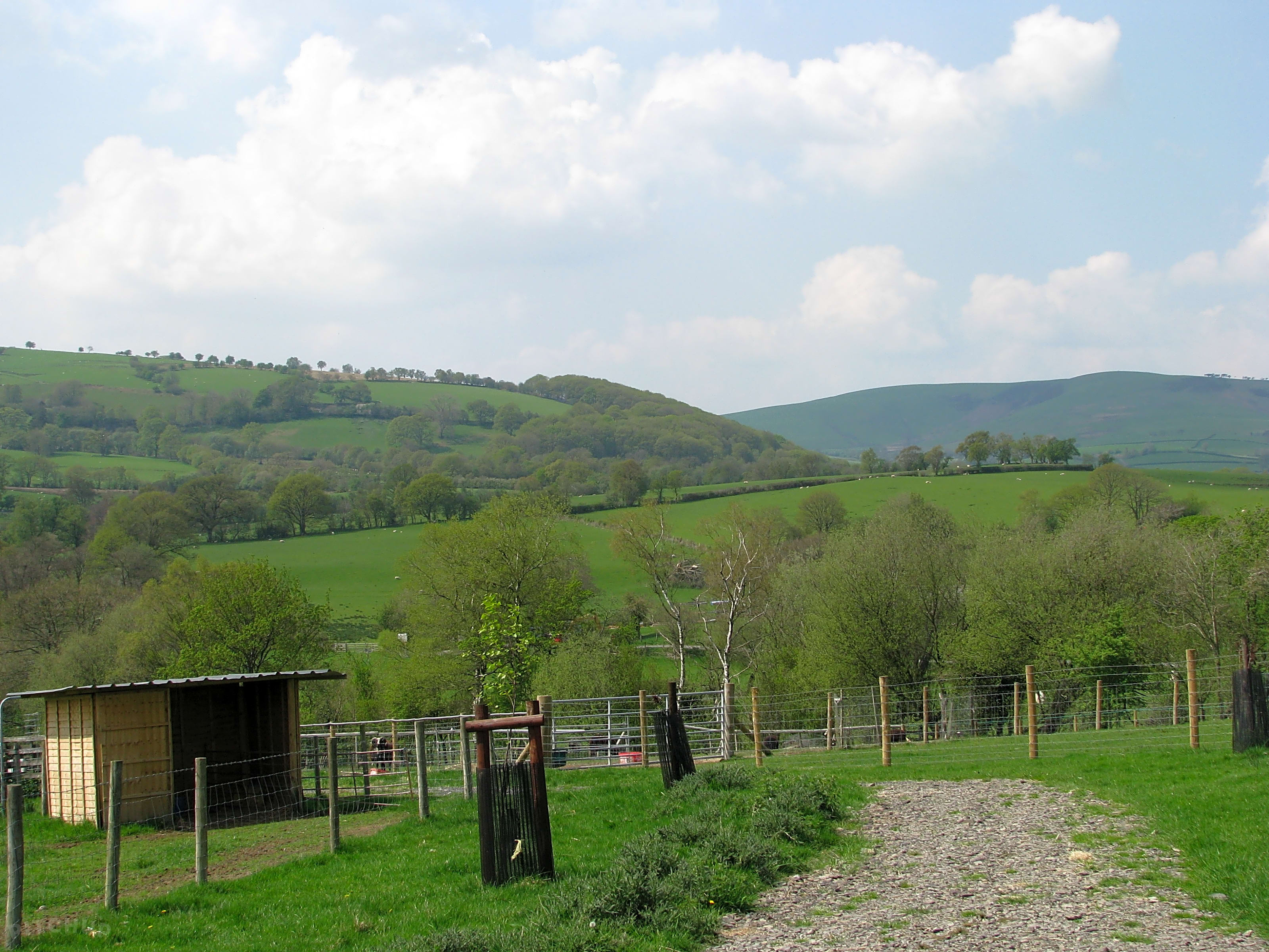 Valley View Falconry, Rhayader, Powys | Pitchup.com