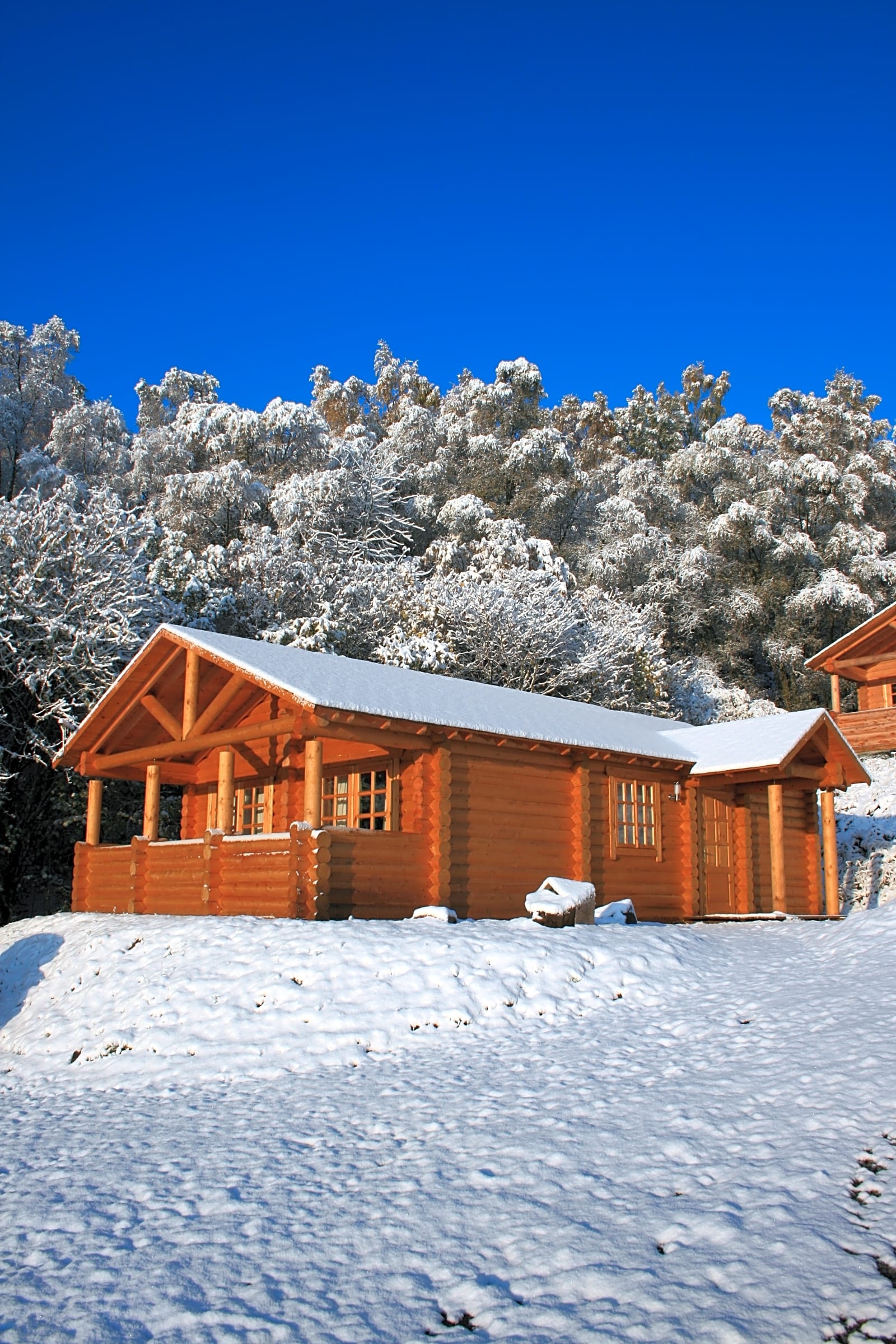 BCC Loch Ness Log Cabins, Inverness, Highlands and Islands | Pitchup.com
