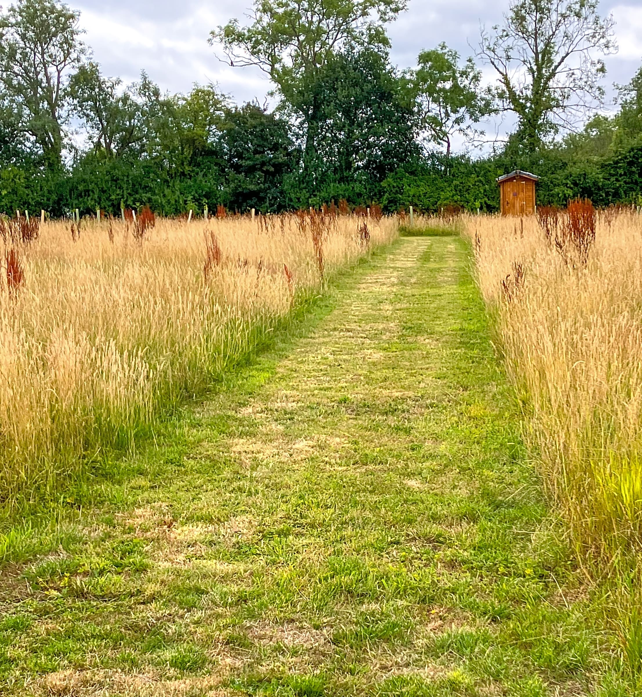 Wedmore Village Farm, Wedmore, Somerset - Updated 2026 prices | Pitchup.com