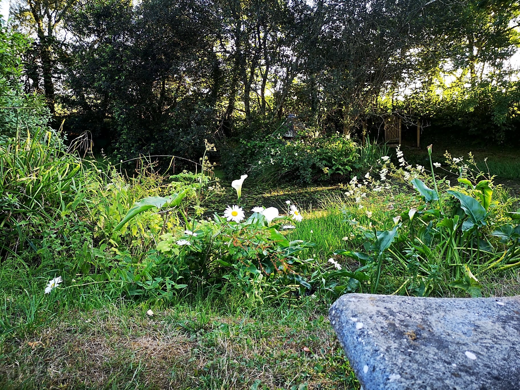 Pond and Paddock Pembrokeshire Glamping, Haverfordwest, Pembrokeshire ...