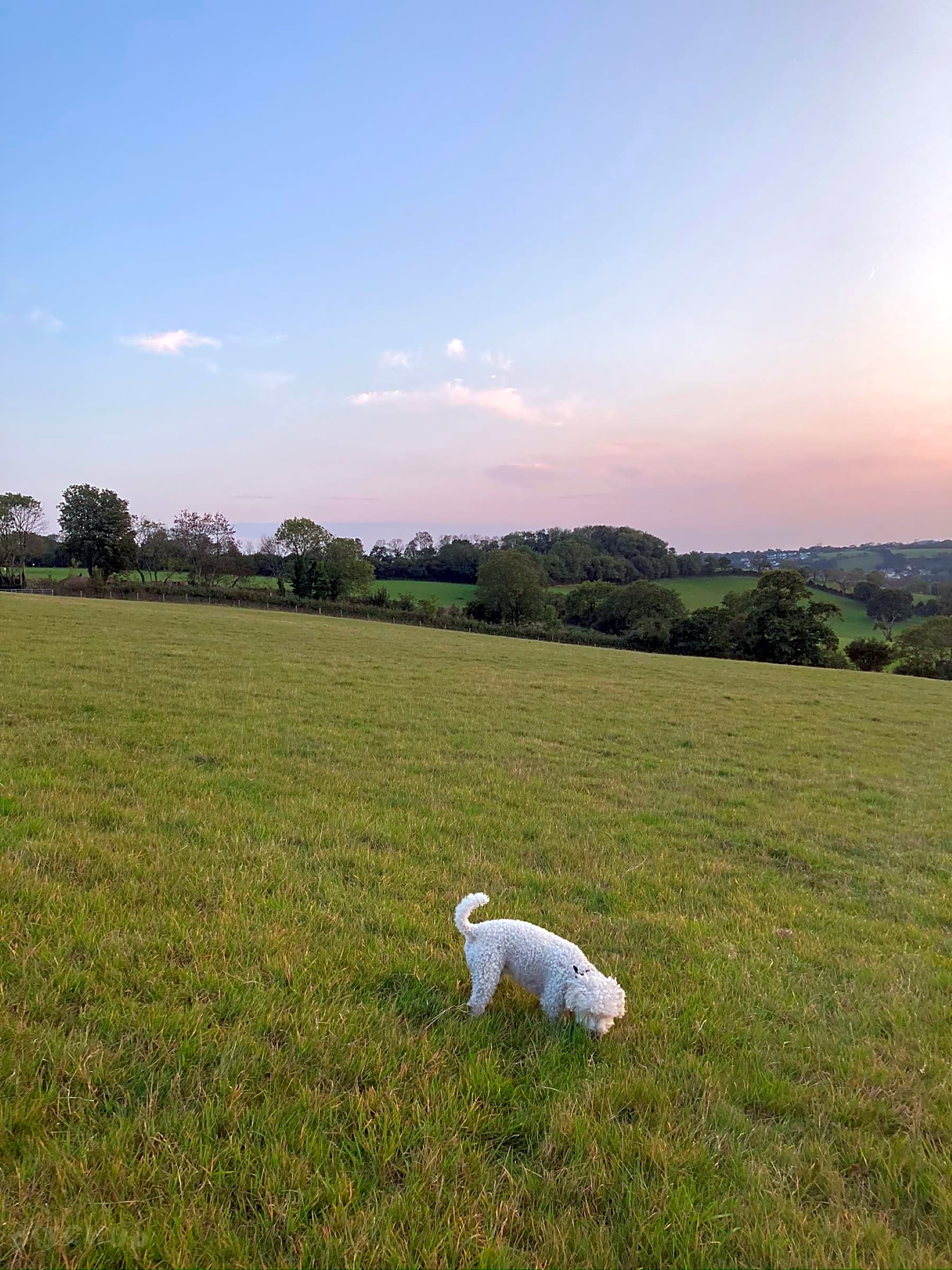 Berries Farm Camping Lyme Regis Dorset Updated 2025 Prices