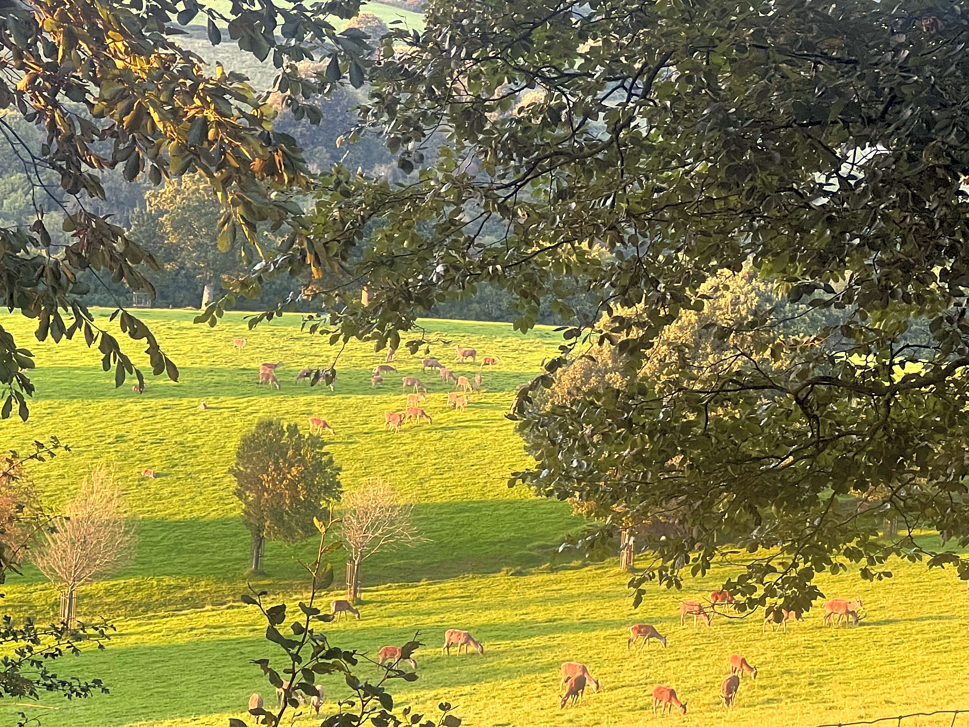 Lower Ford, Tiverton, Devon - Updated 2025 prices | Pitchup.com