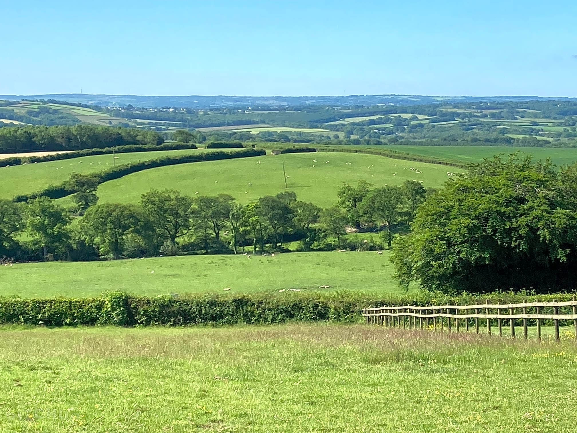 Dartmoor View, Sheepwash, Devon | Pitchup.com