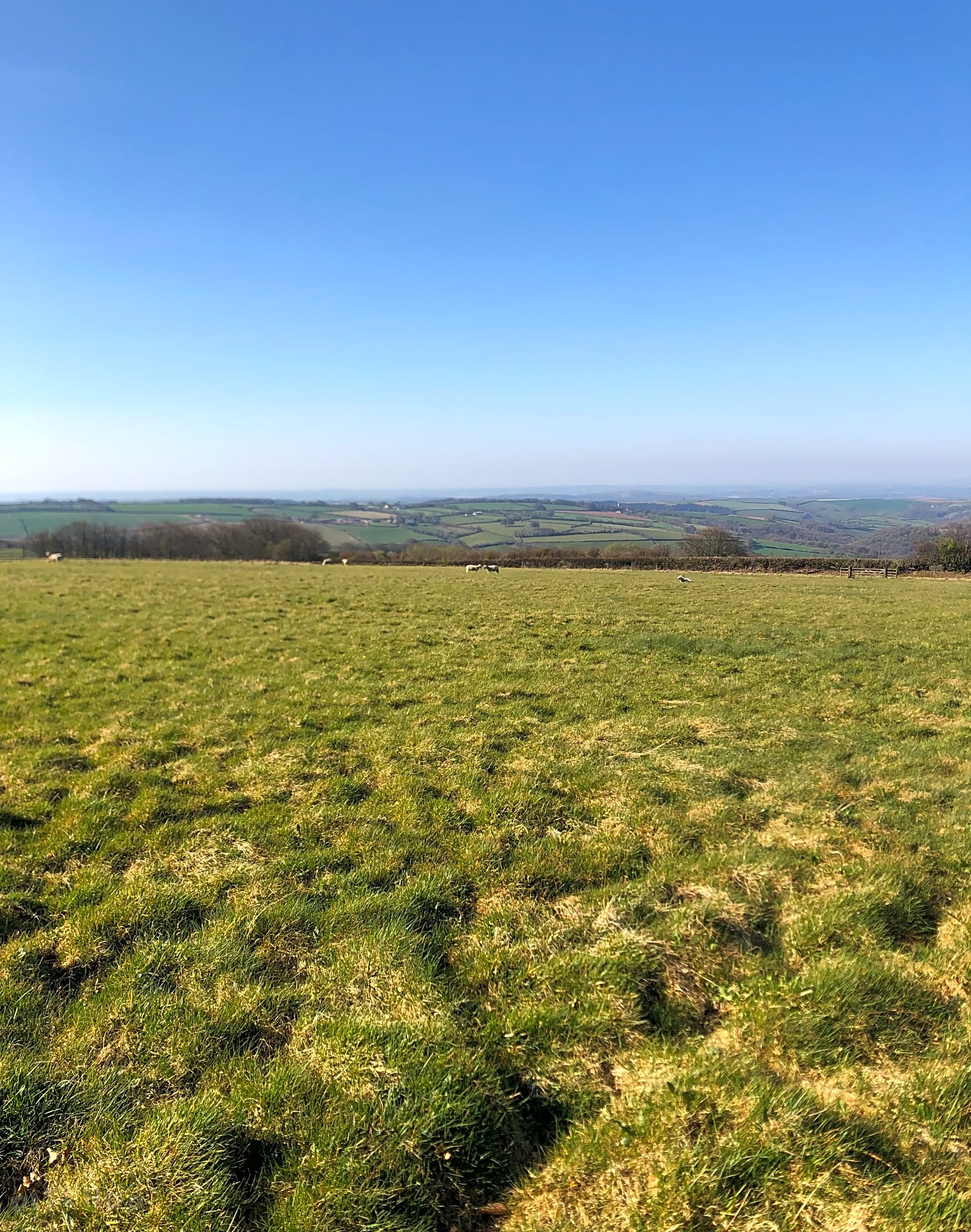 Arkadia Farm Certificated Location, Barnstaple, Devon - Updated 2026 ...