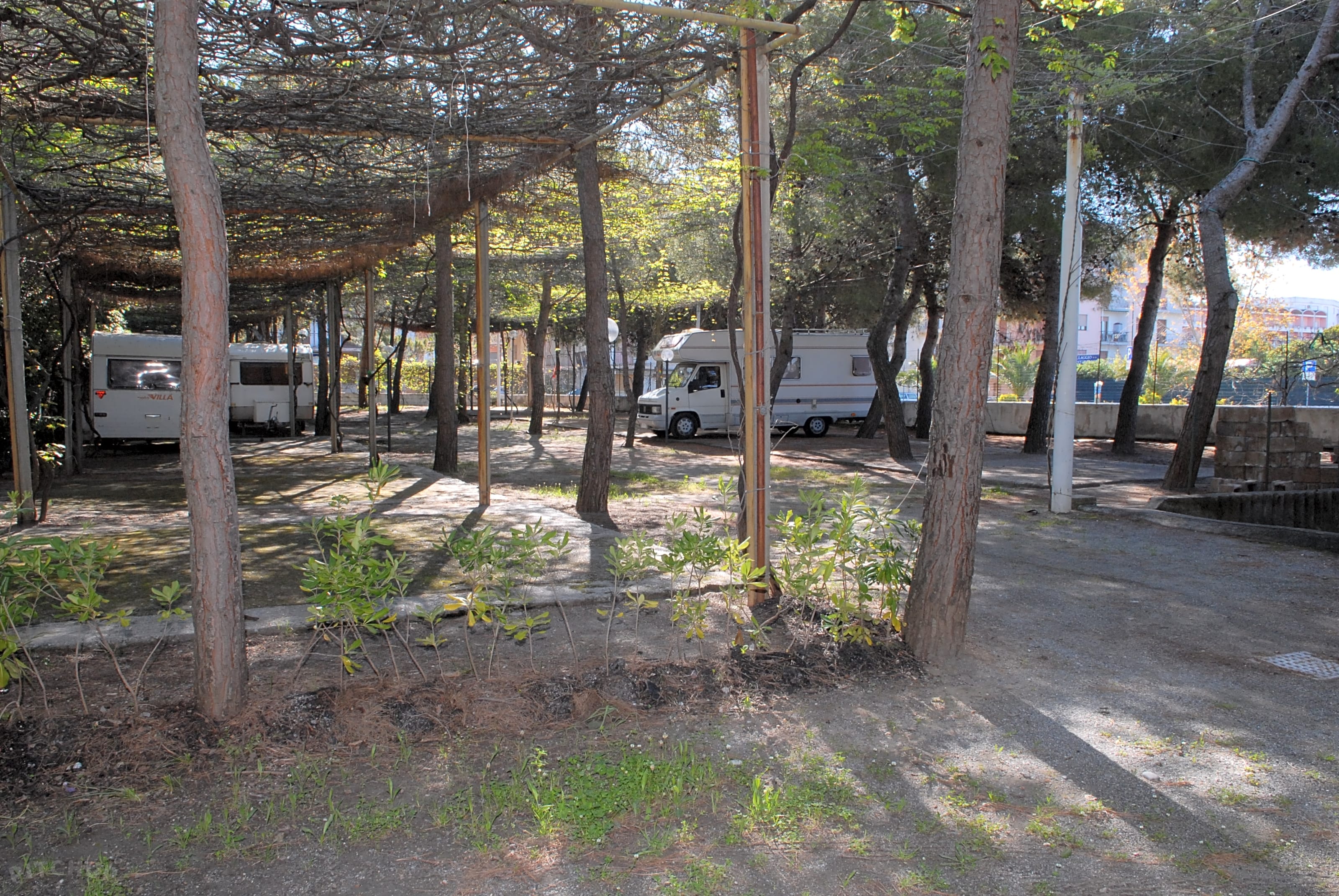 Pantera Rosa Village, Scalea, Cosenza | Pitchup.com