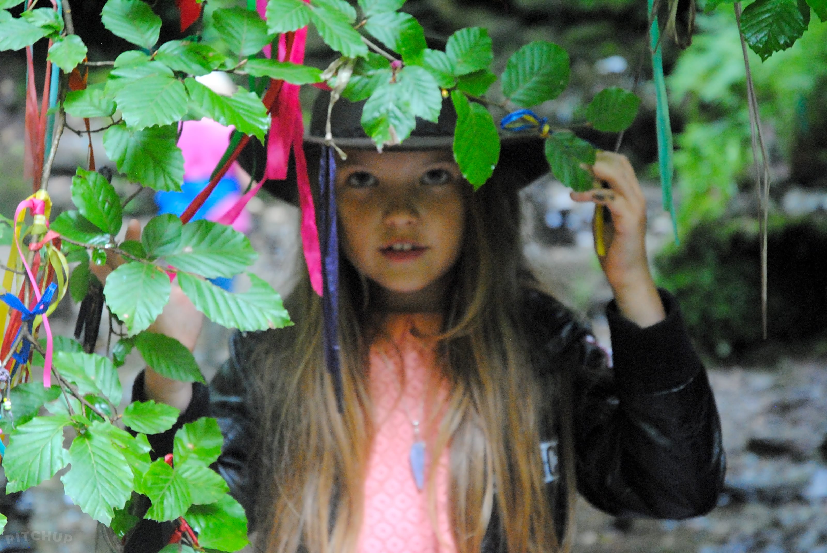 Stanbridge Farm, Petersfield, Hampshire | Pitchup.com