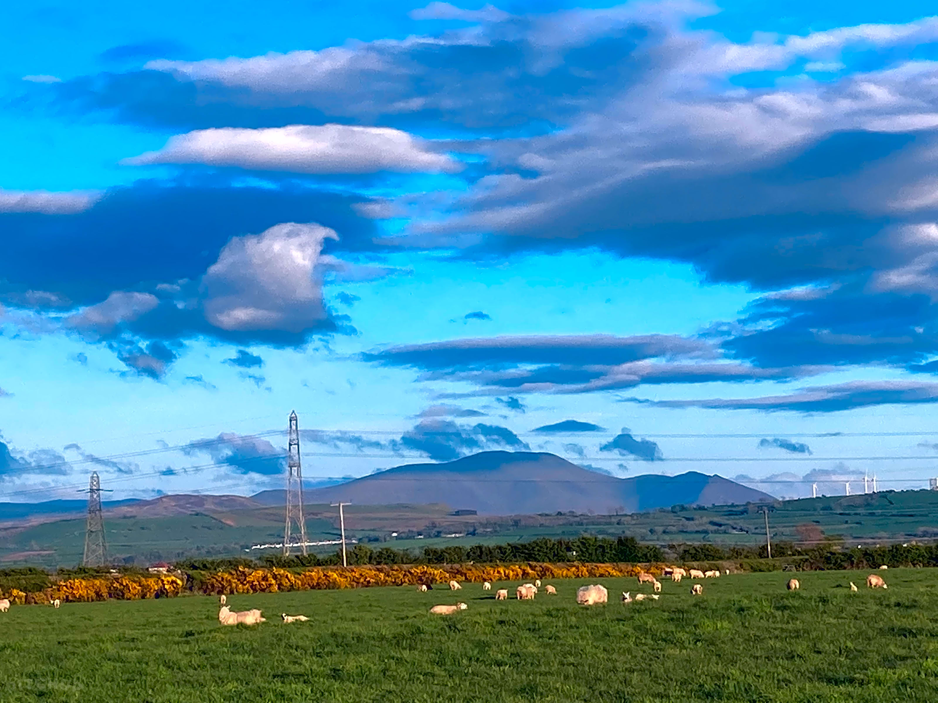 Allonby Bay Camping, Allonby, Cumbria | Pitchup.com