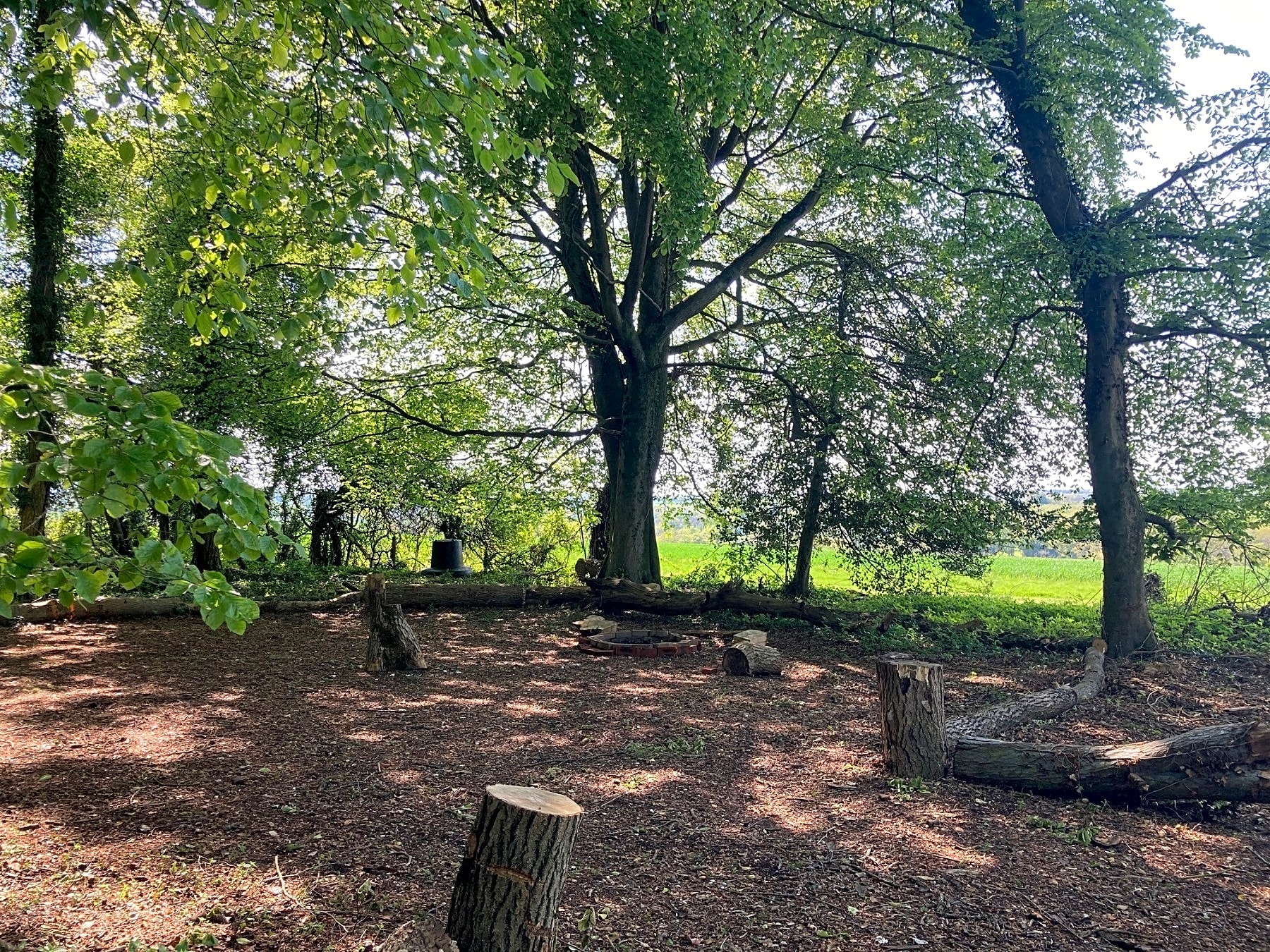 Hundred Acres Woodland Camping, Compton, West Sussex | Pitchup.com