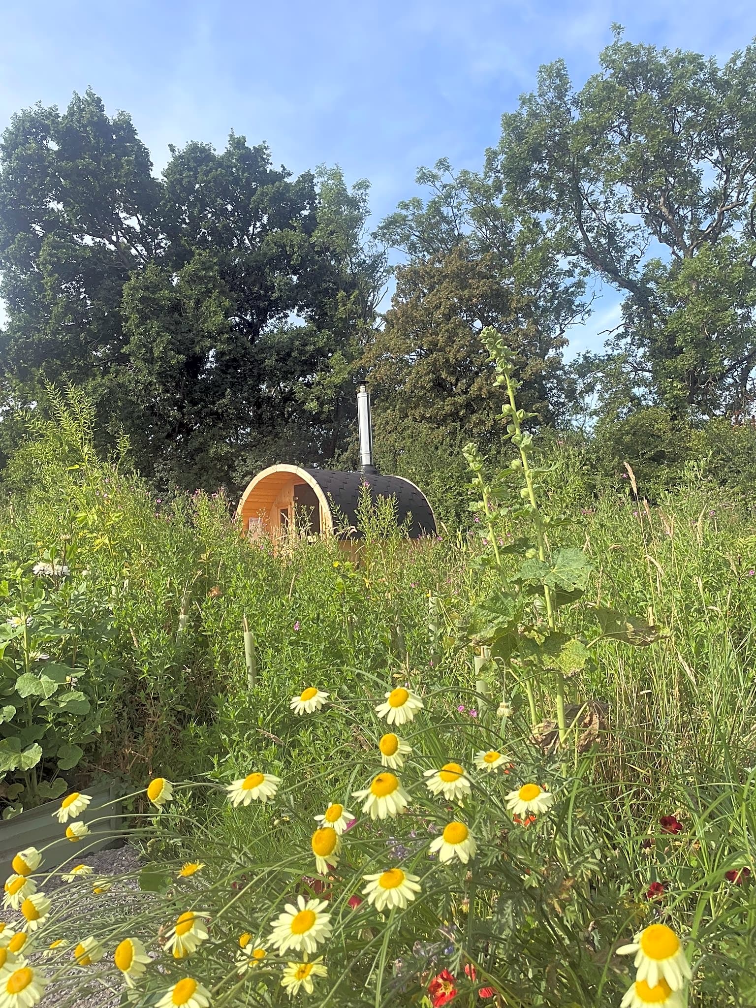 Wedmore Village Farm, Wedmore, Somerset - Updated 2026 prices | Pitchup.com