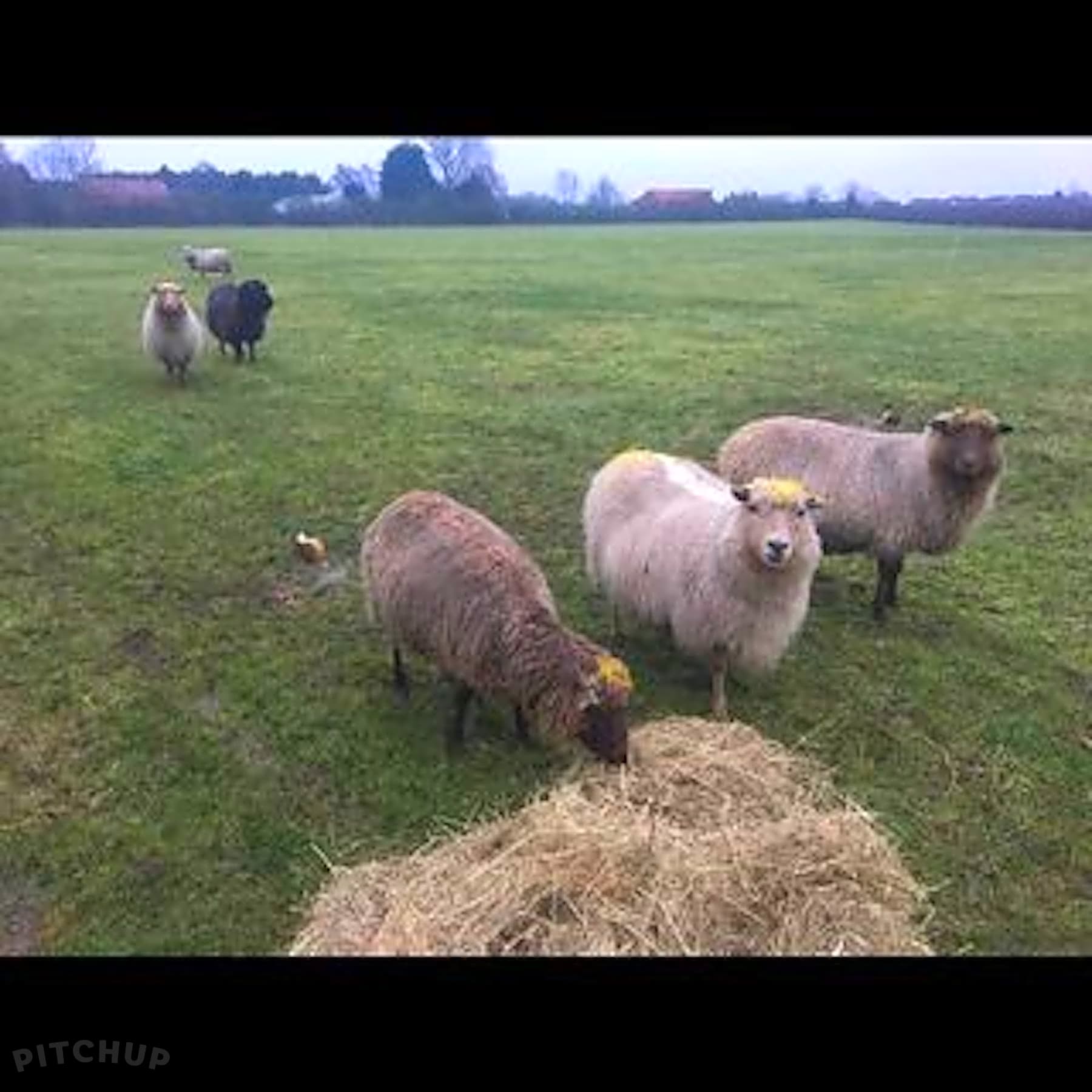 Longfield Farm, Barrow upon Humber, Lincolnshire | Pitchup.com