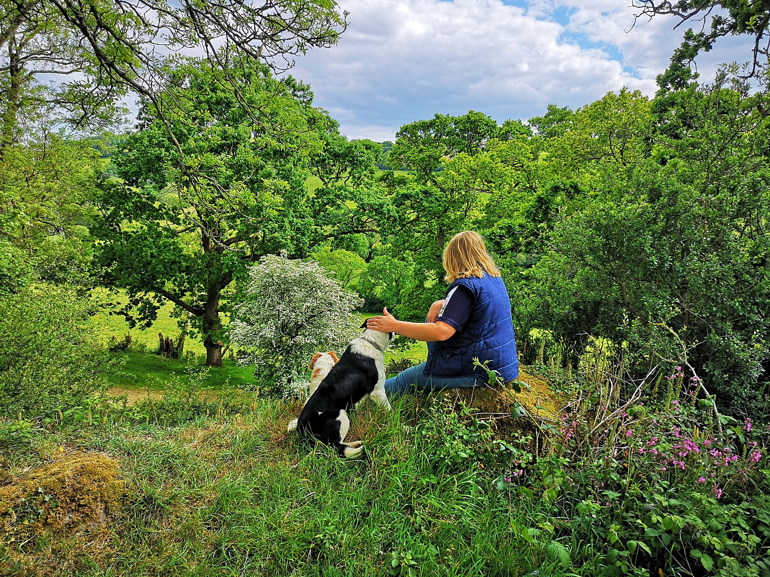 Bush Farm Wild Camping, Saltash - Updated 2020 prices - Pitchup®