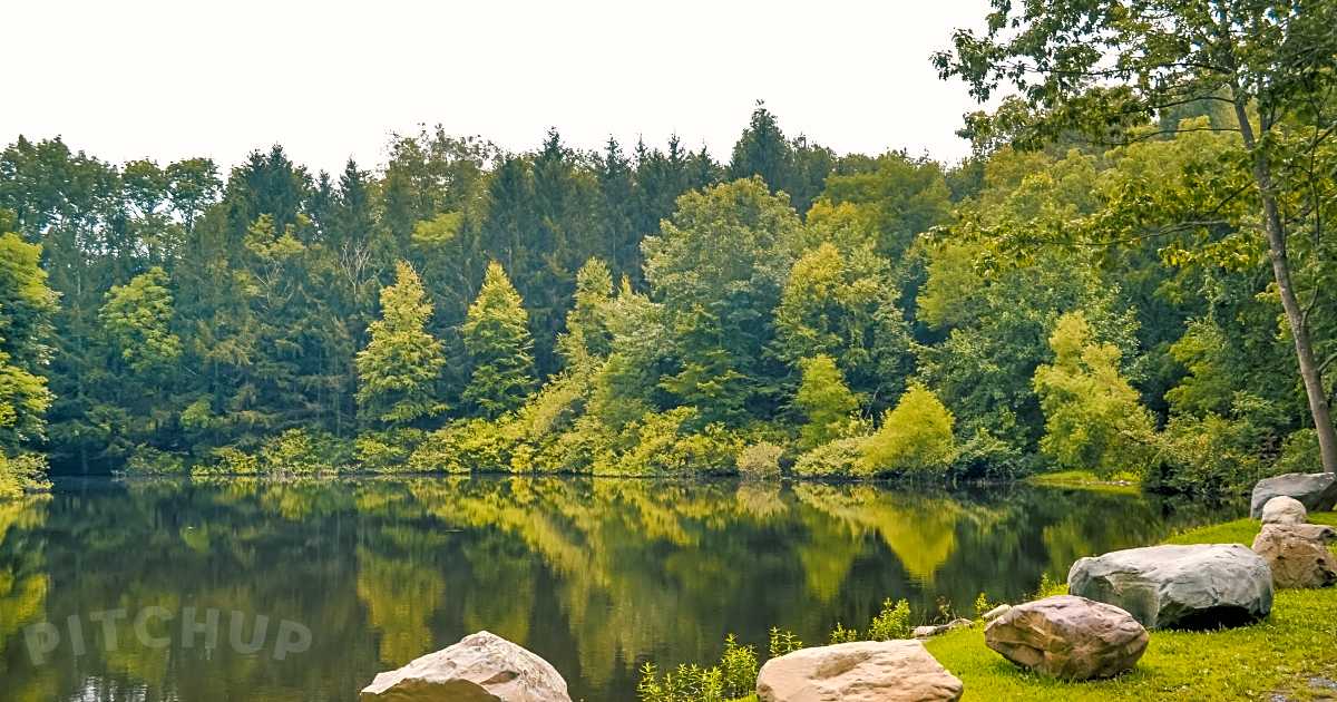 Cranberry Run Campground, East Stroudsburg | Pitchup.com