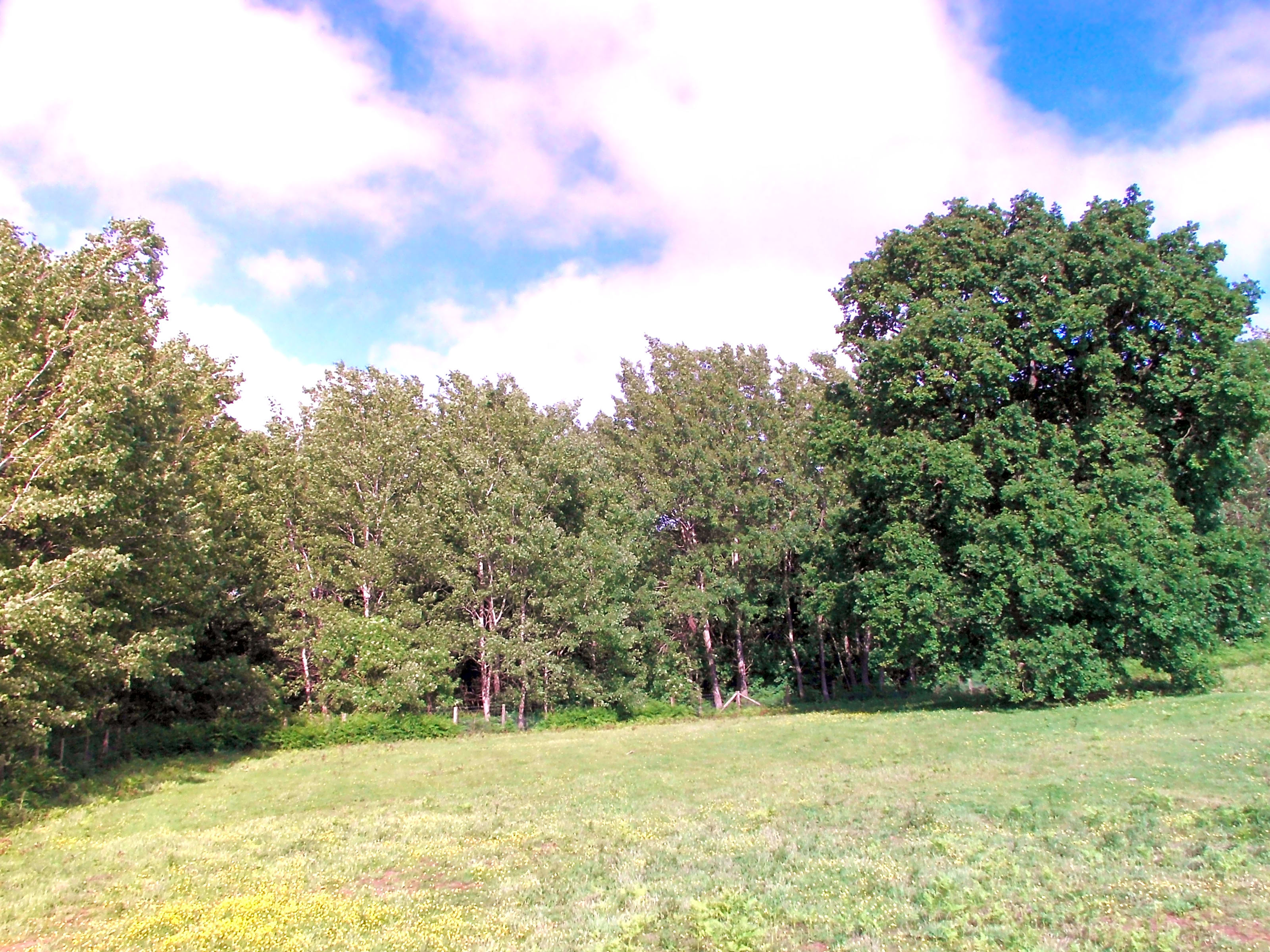 Oak Valley Camping, Rye - Pitchup®