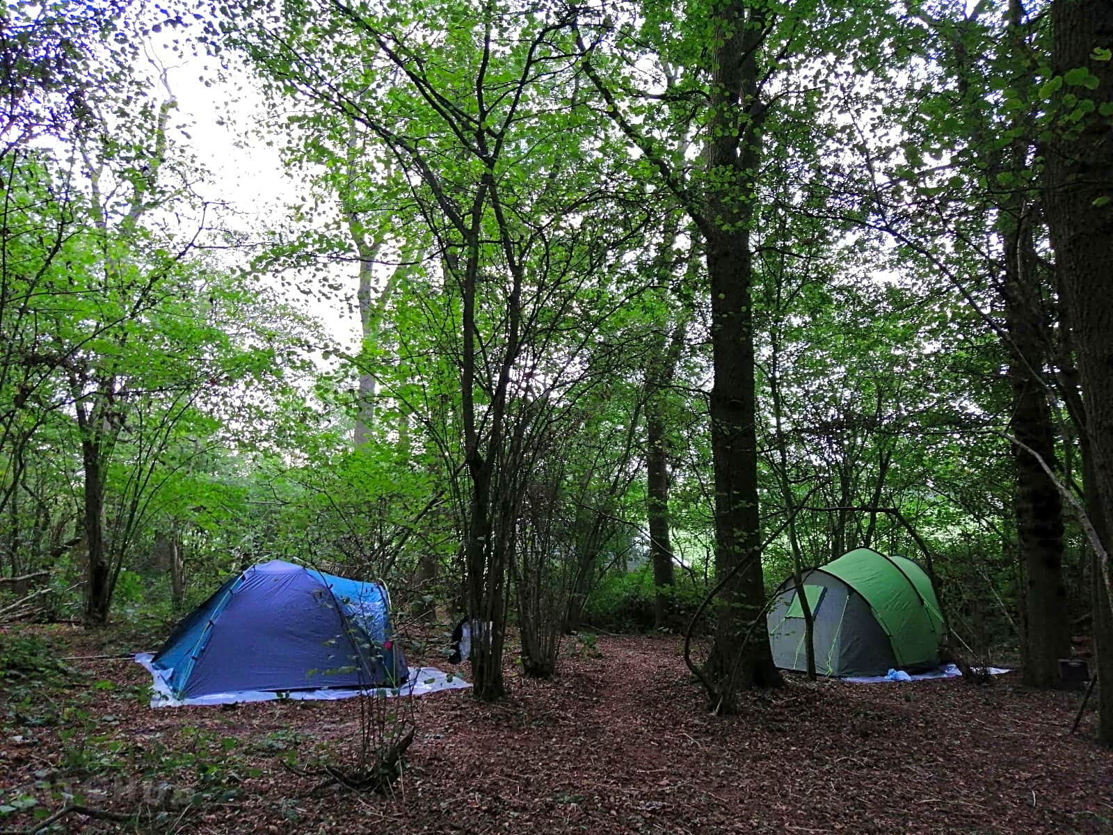 Nightingales Rustic Camping, Bentley Atherstone - Updated 2021 prices ...