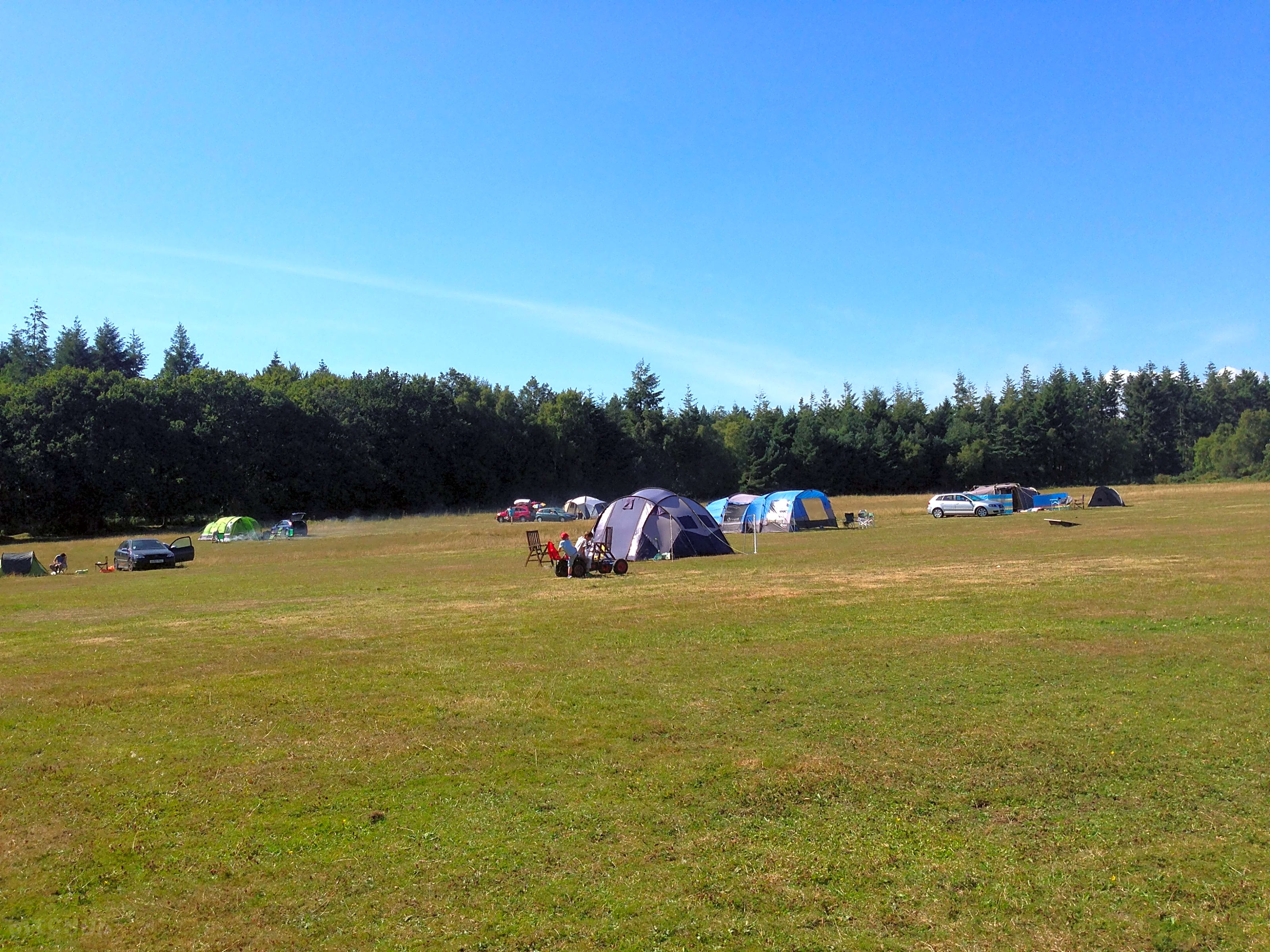 Primrose Fields, Wareham - Pitchup®