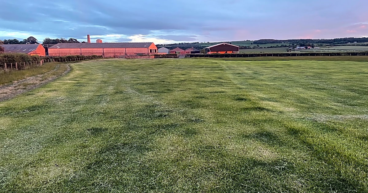 Elwick Campsite, Elwick - Updated 2021 prices - Pitchup®