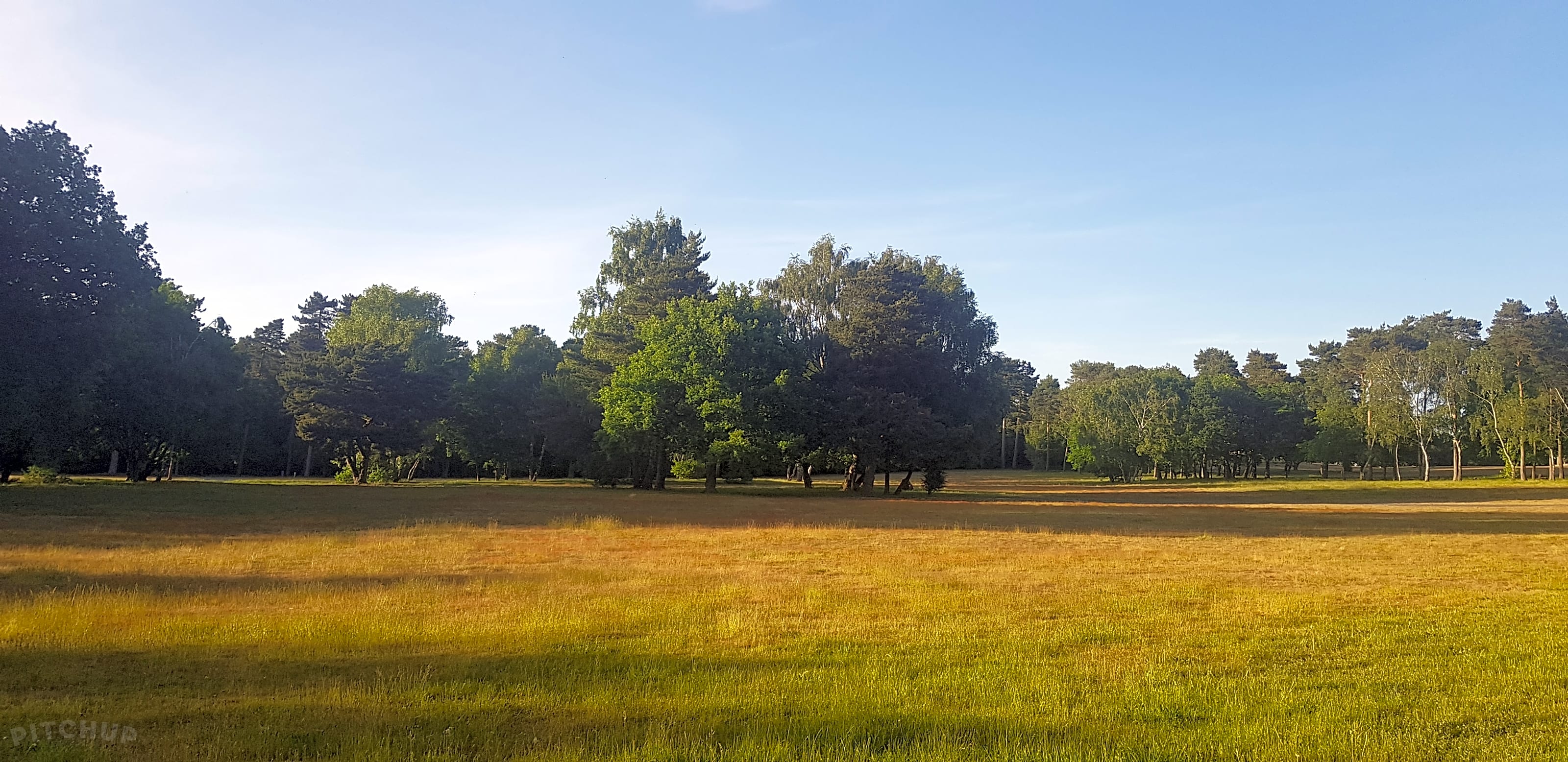 Walesby Forest, Newark - Updated 2021 prices - Pitchup®