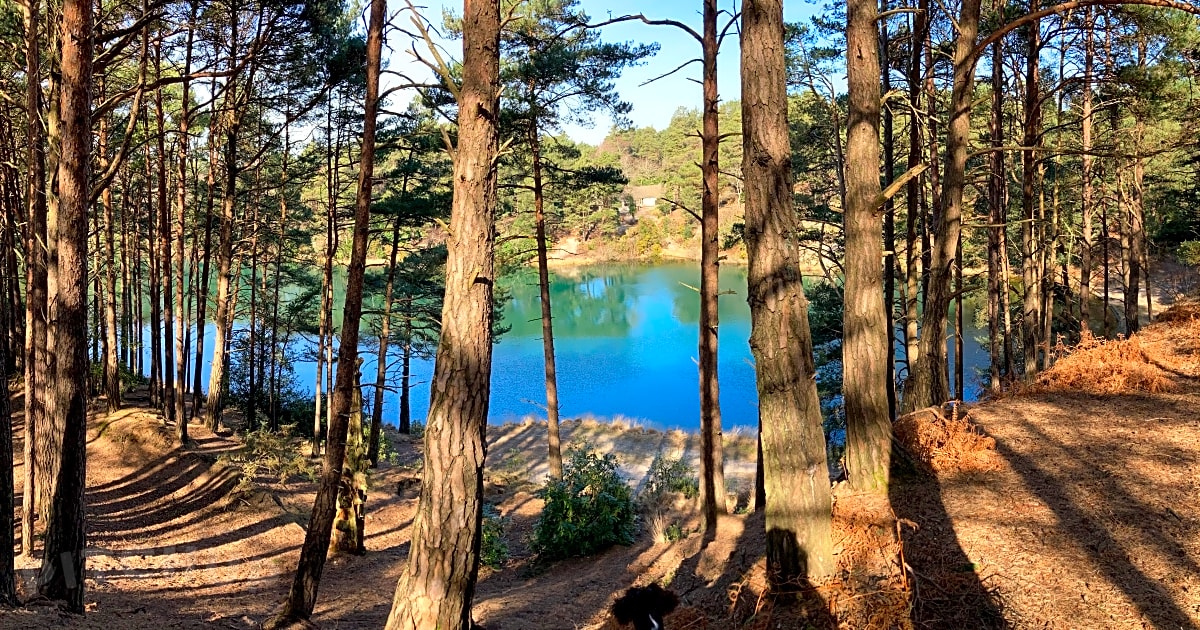 Blue Pool Camping, Wareham - Updated 2021 prices - Pitchup®